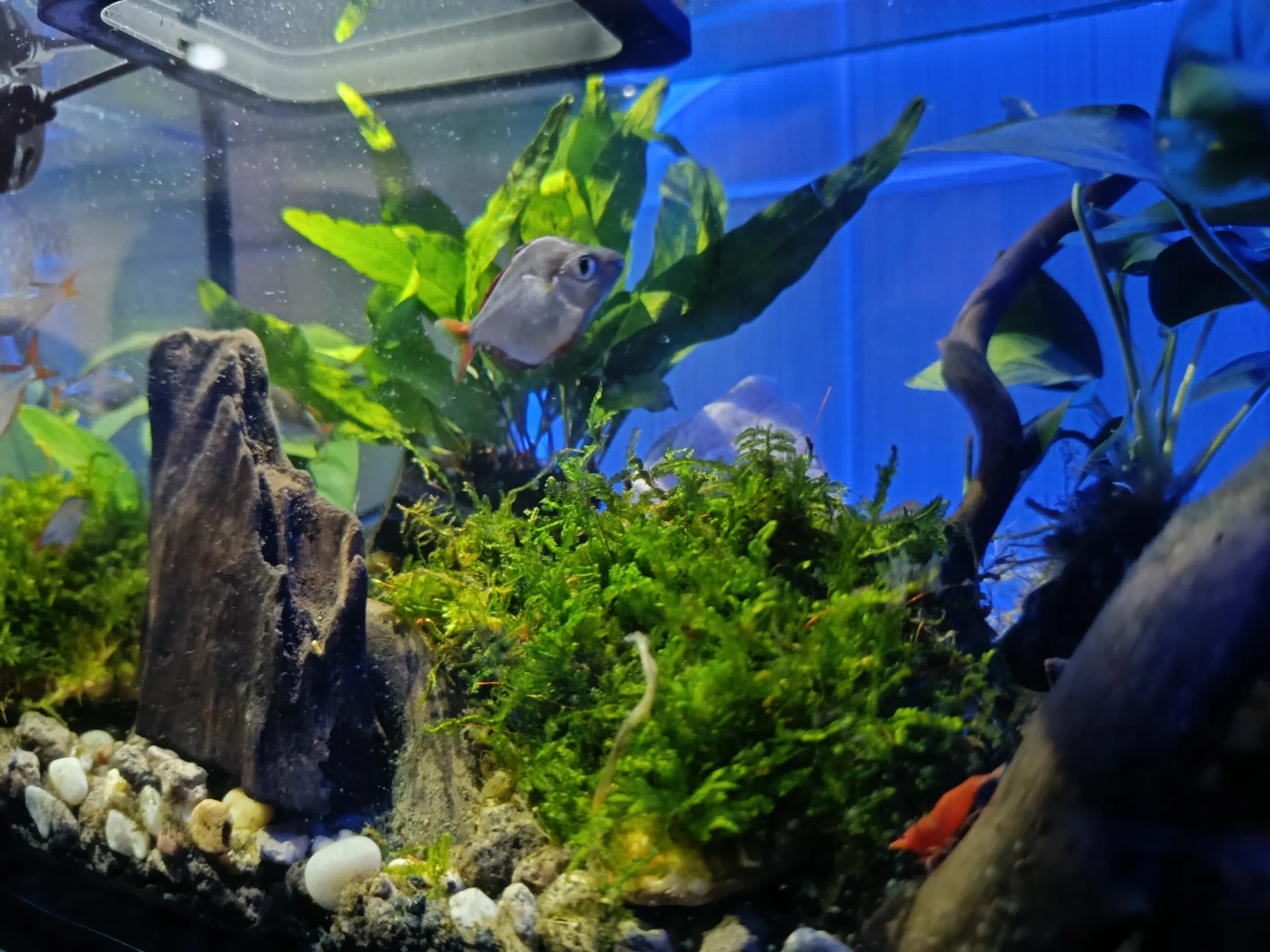 จัดห้องเพิ่มเติมจากเดิม เปลี่ยนมุมมองใหม่ | แกลเลอรีที่โพสต์โดย Choco Ball | Lemon8