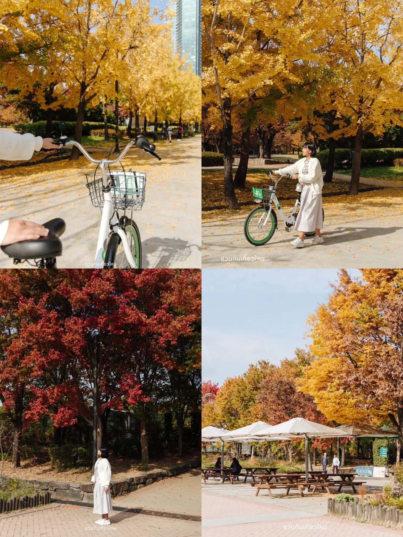 Seoul forest park สวนสวยใจกลางกรุงโซล ที่เที่ยวได้ทุกฤดู | แกลเลอรีที่ ...