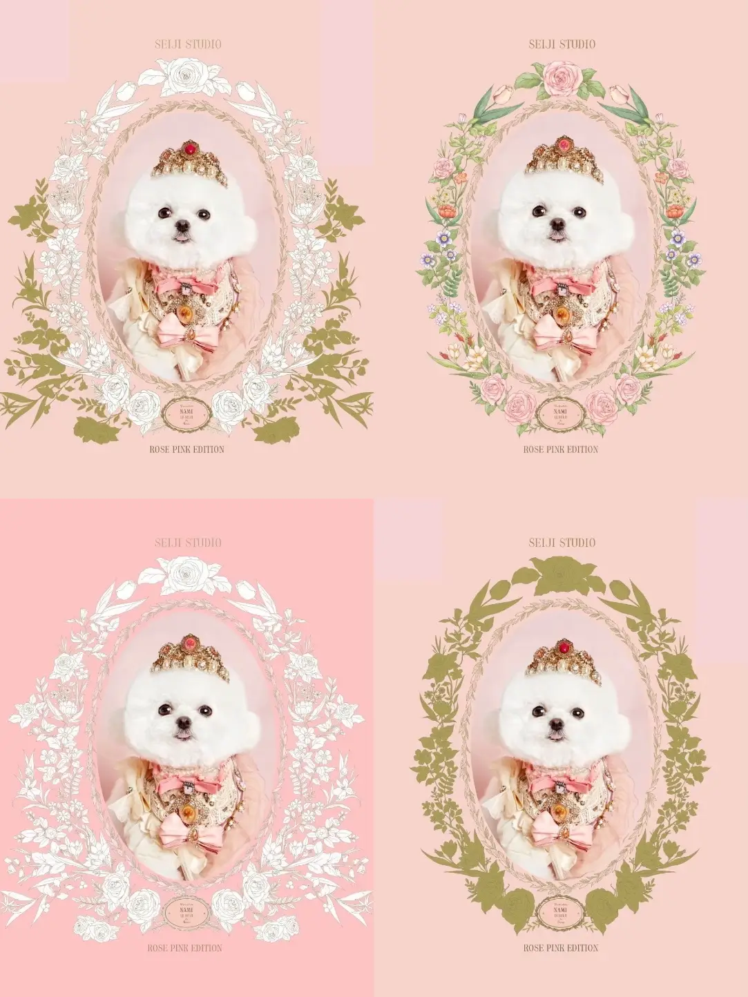 พาน้องหมาถ่ายรูปสตูดิโอ สไตล์เจ้าหญิง 1x,xxx บาท คุ้มไหม | แกลเลอรีที่ ...