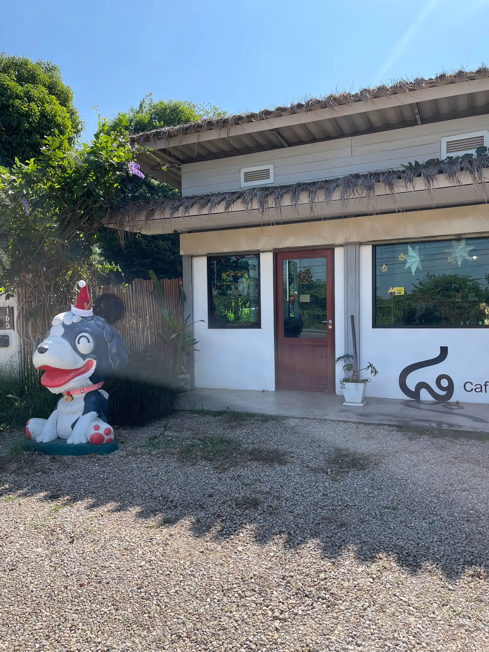 EIGHT CAFE ร้านคาเฟ่ที่เป็นมิตรกับสัตว์เลี้ยง 🐶🐱 | แกลเลอรีที่โพสต์โดย ...