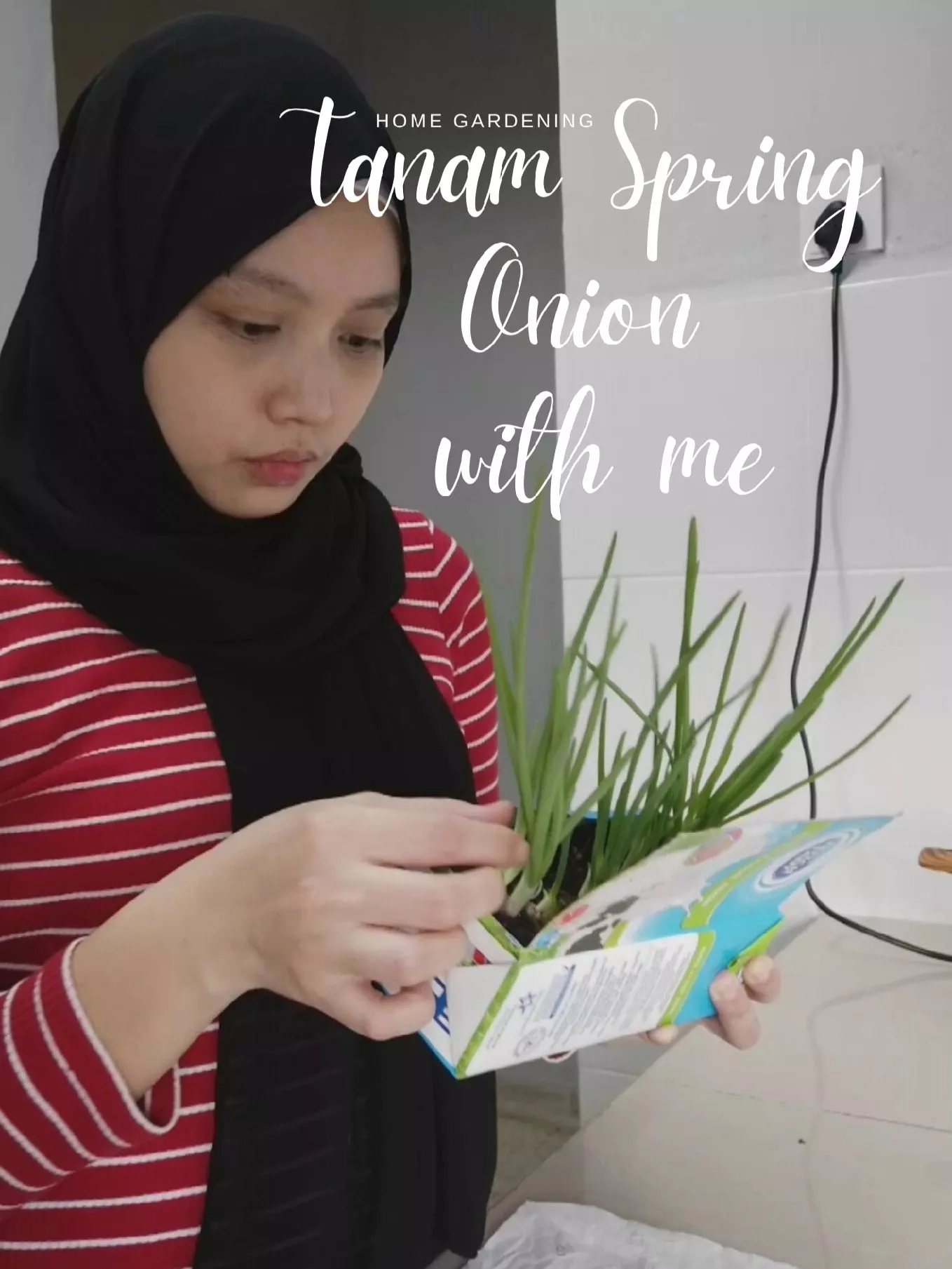 Tanam Spring Onion guna kotak susu | Video diterbitkan oleh MeHanneof | Lemon8