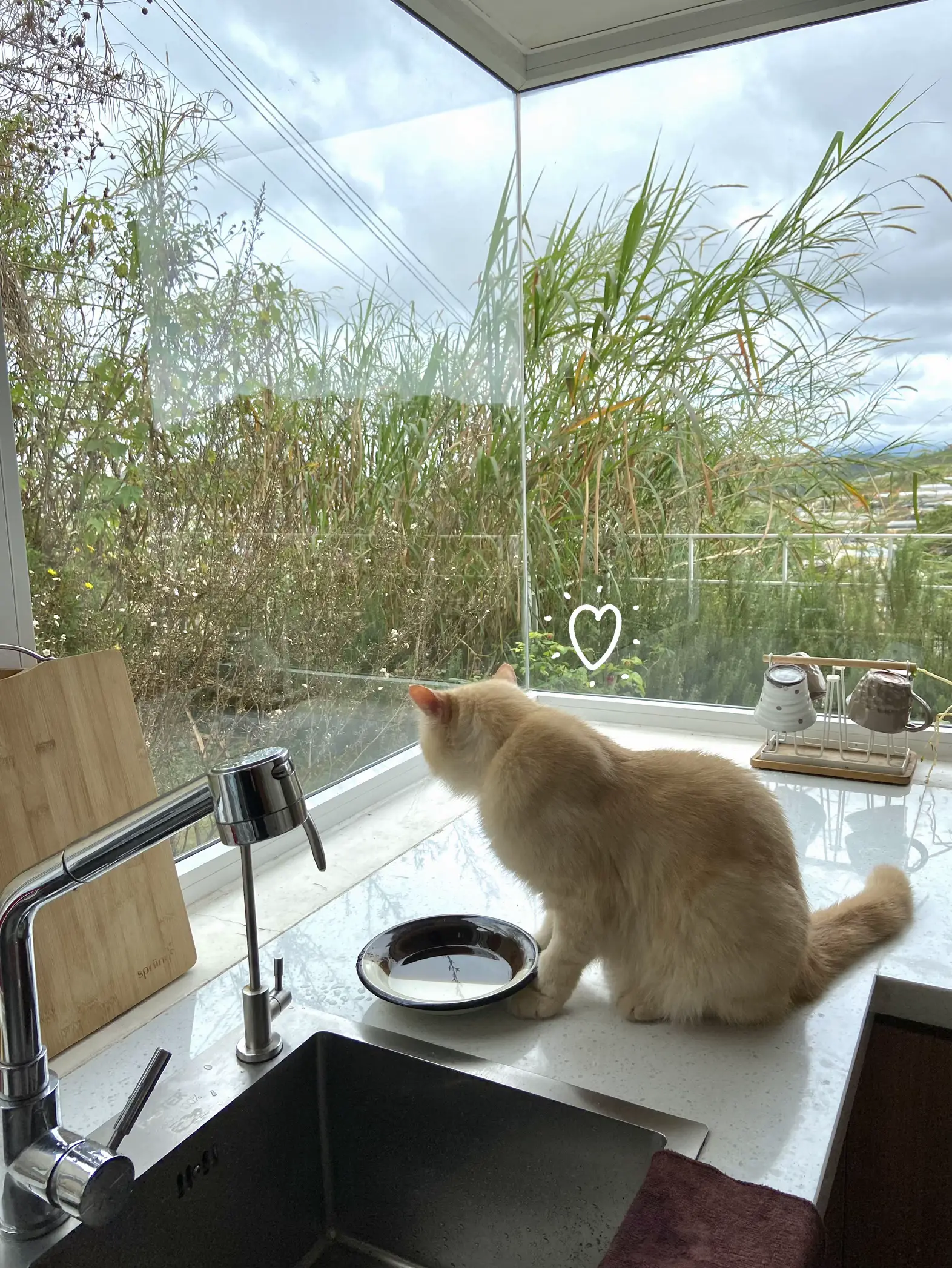 Cham.Dalat ที่พักดาลัดสุดคิวท์💖 | แกลเลอรีที่โพสต์โดย Nutthax | Lemon8