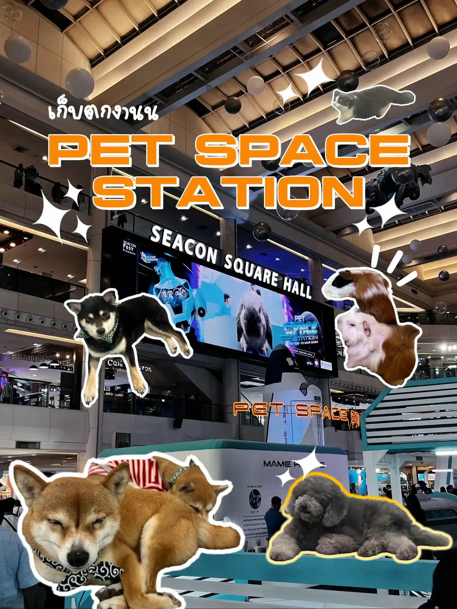 Pet space station🐶 | แกลเลอรีที่โพสต์โดย Oreooat | Lemon8