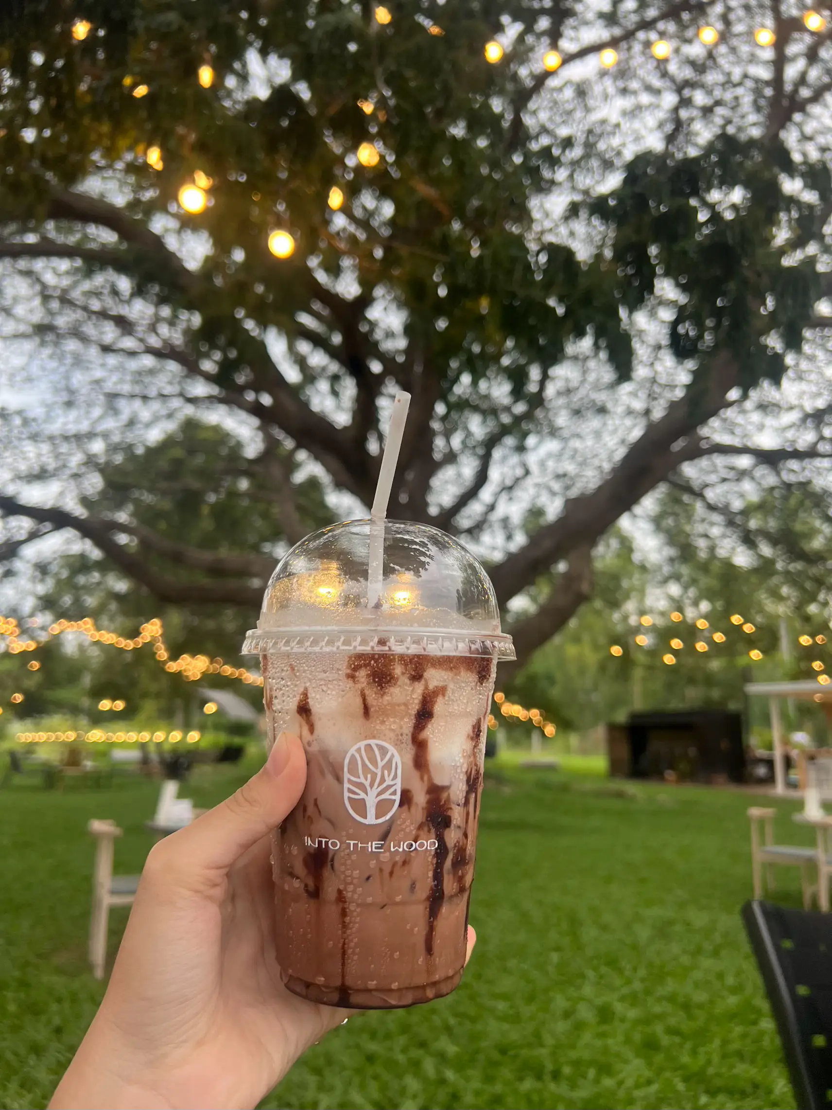 Luca cafe Rayong | แกลเลอรีที่โพสต์โดย BeAm | Lemon8