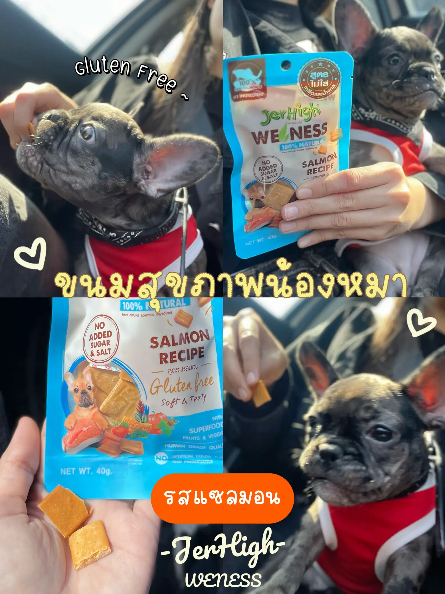 💖🫶🏻ขนมสุขภาพน้องหมา 🐶 รสแซลมอน 100% natural 🍃 | แกลเลอรีที่โพสต์โดย บี ...