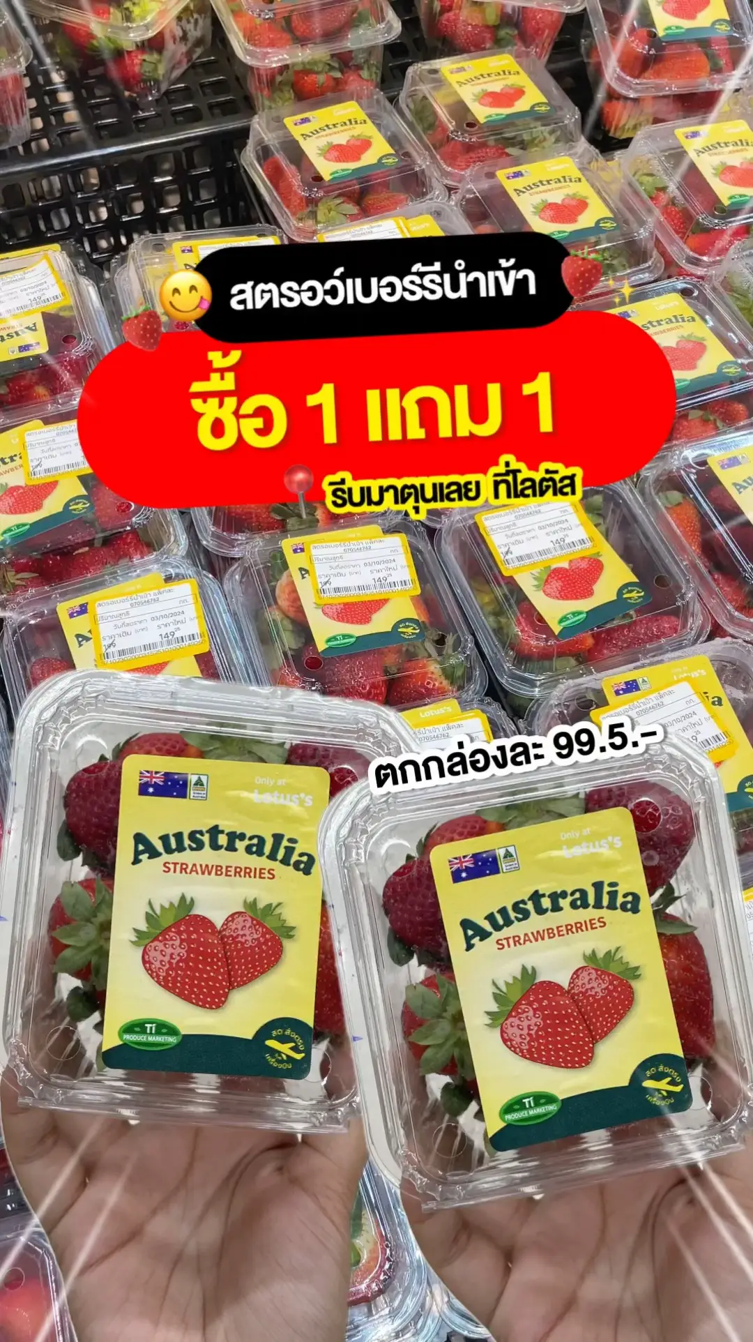 📣Hurry and hurry. Imported strawberries. Buy 1 get 1 at Lotus. ️ ...