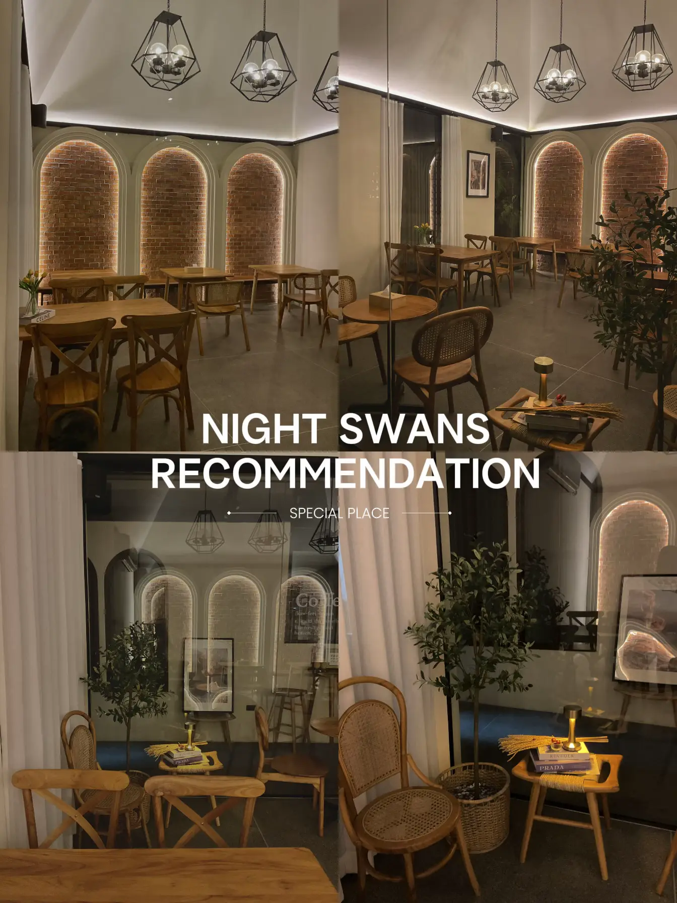 NIGHT SWANS | แกลเลอรีที่โพสต์โดย SWANS CAFE | Lemon8