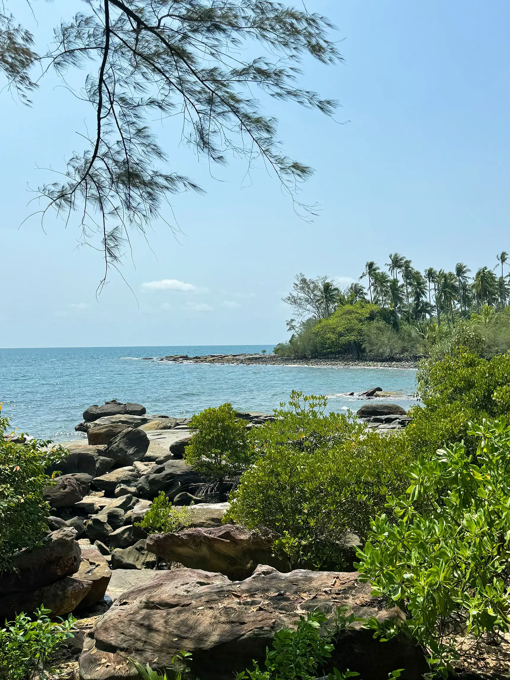 Gathi Cafe คาเฟ่ชิลๆ บนเกาะกูด🌴🌴 | แกลเลอรีที่โพสต์โดย Mildd Kotchanip ...