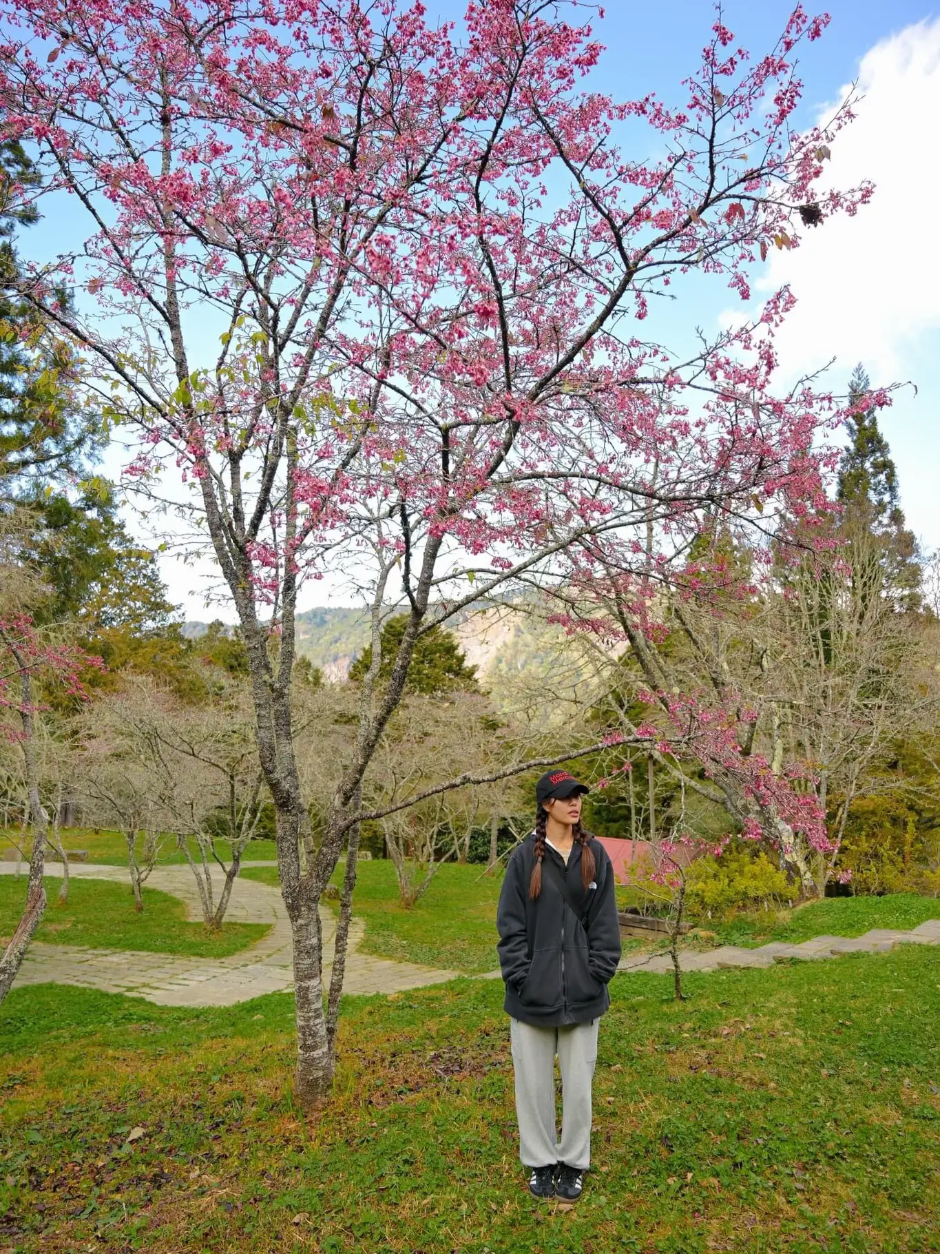 นั่งรถไฟสายโรแมนติกสุดคลาสสิก | แกลเลอรีที่โพสต์โดย lbzero | Lemon8