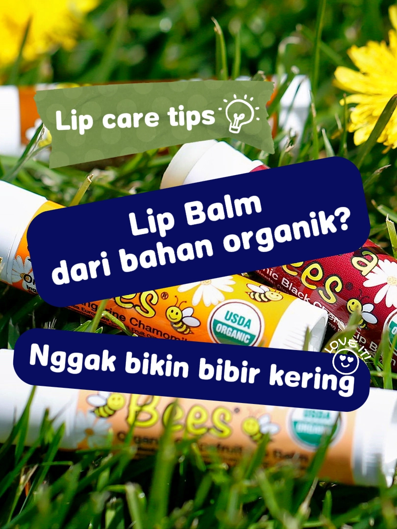 Tips perawatan bibir 💋 | Video dipublikasikan oleh Elefant Mart | Lemon8