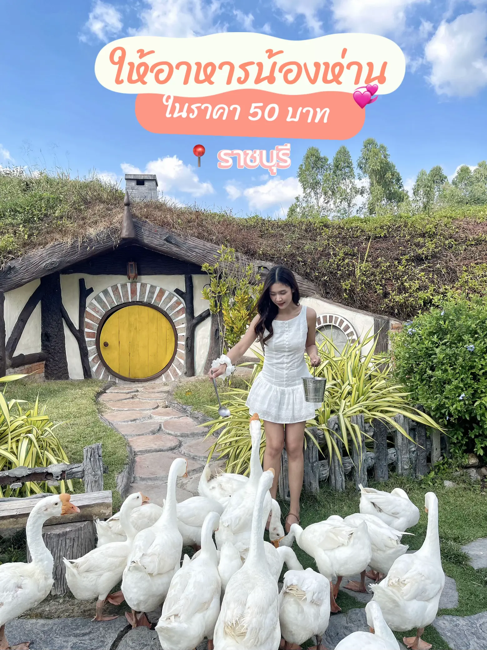 ให้อาหารน้องห่าน @ ราชบุรี | แกลเลอรีที่โพสต์โดย Netnaphit Film | Lemon8