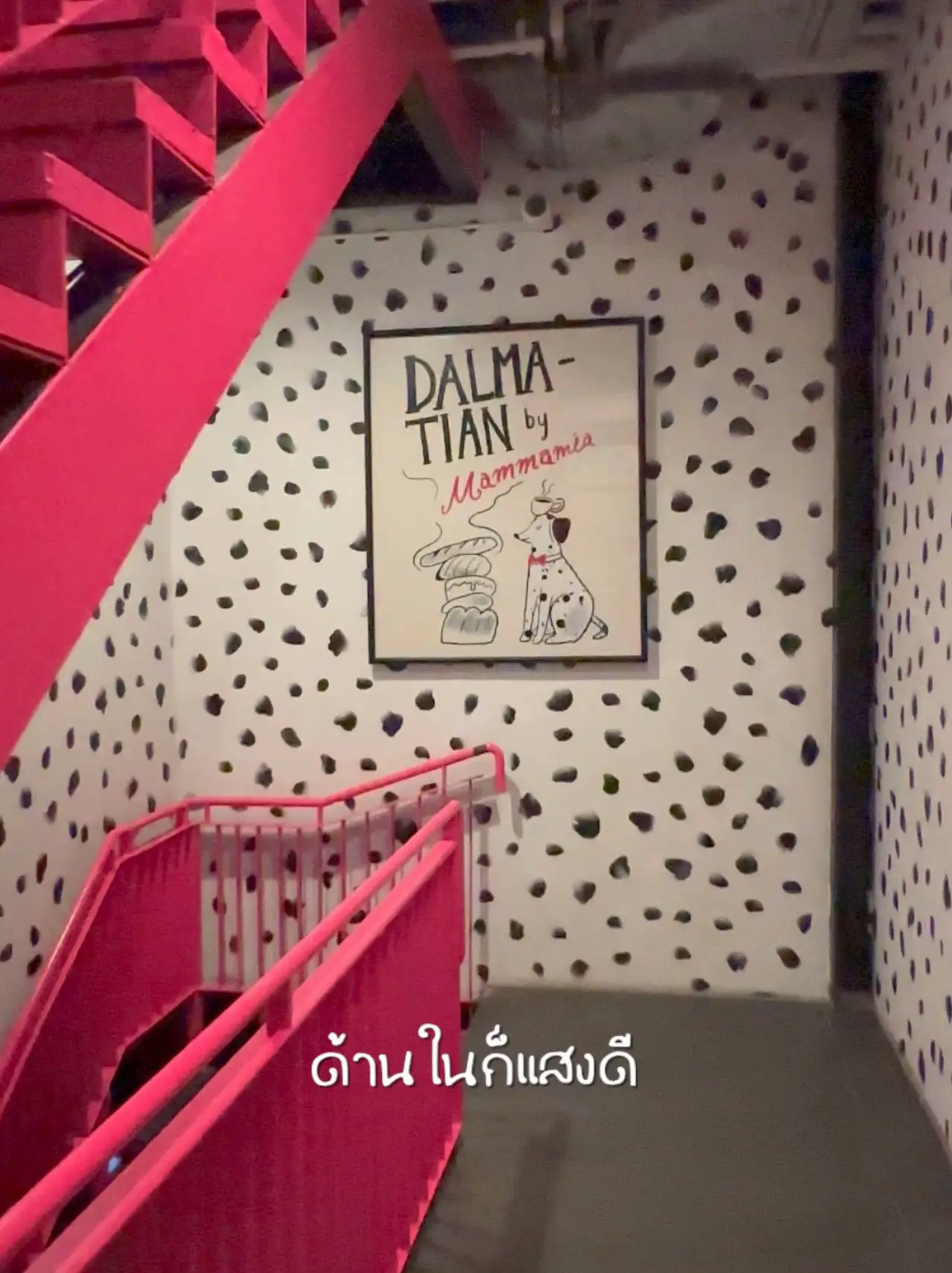 🇰🇷Dalmatian 달마시안 Siam Square Block I | แกลเลอรีที่โพสต์โดย ททท เที่ยว ...