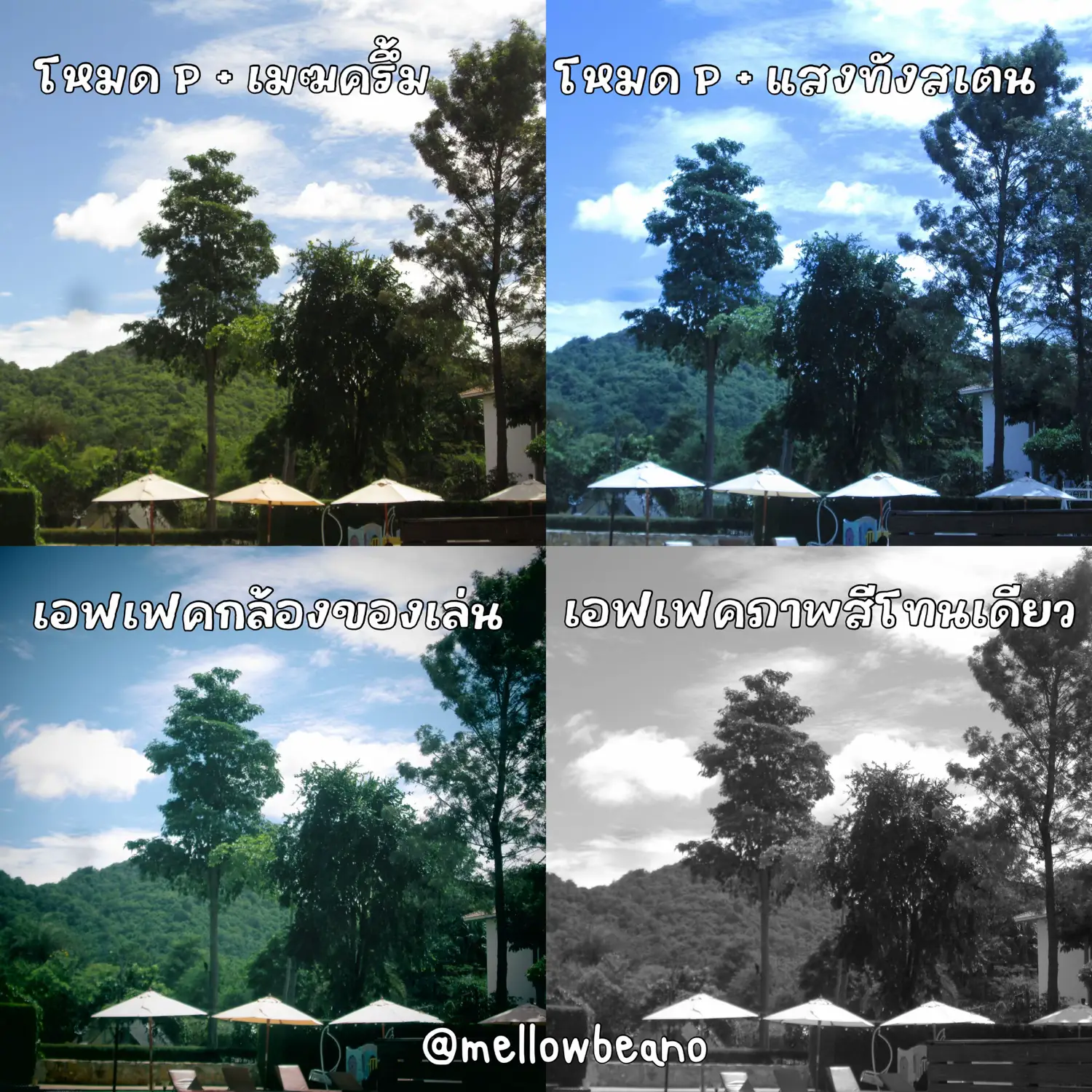 สอนใช้งานกล้องดิจิตอลแบบง่าย ๆ ครบจบในโพสต์เดียว 📸⭐️🧚‍♀️ | แกลเลอรีที่โพสต์โดย mellowwander | Lemon8