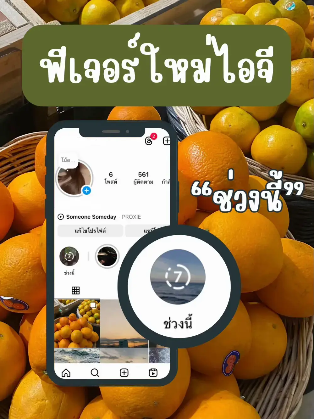 วิธีดูคลังสตอรี่ในไอจี | 2024 ประสบการณ์ผู้ใช้จริงบน Lemon8