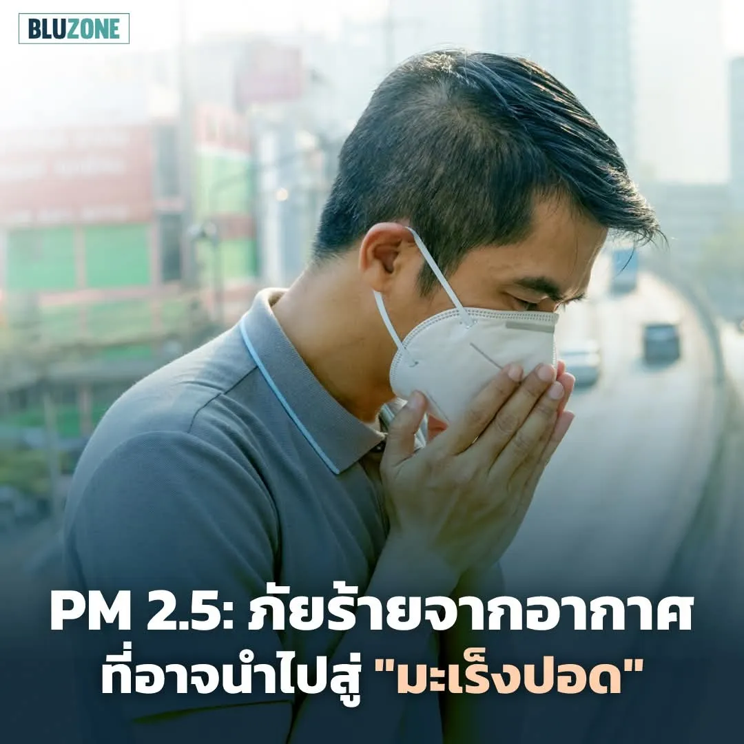 PM 2.5: ภัยร้ายจากอากาศที่อาจนำไปสู่ "มะเร็งปอด"😶‍ | แกลเลอรีที่โพสต์โดย Wasana | Lemon8