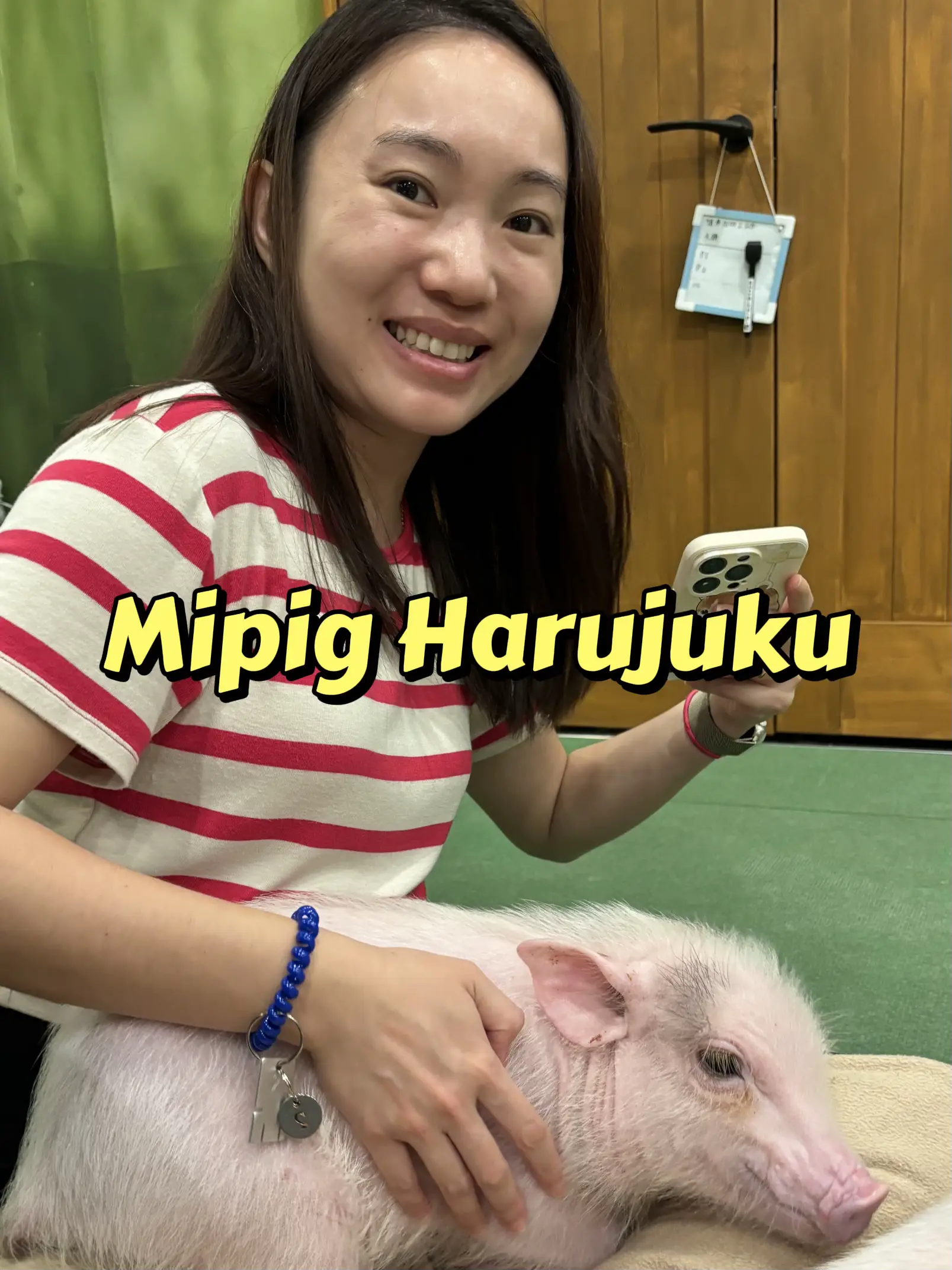 Playing with pigs in Harujuku 🇯🇵 | Video published by Jere & Sammy | Lemon8