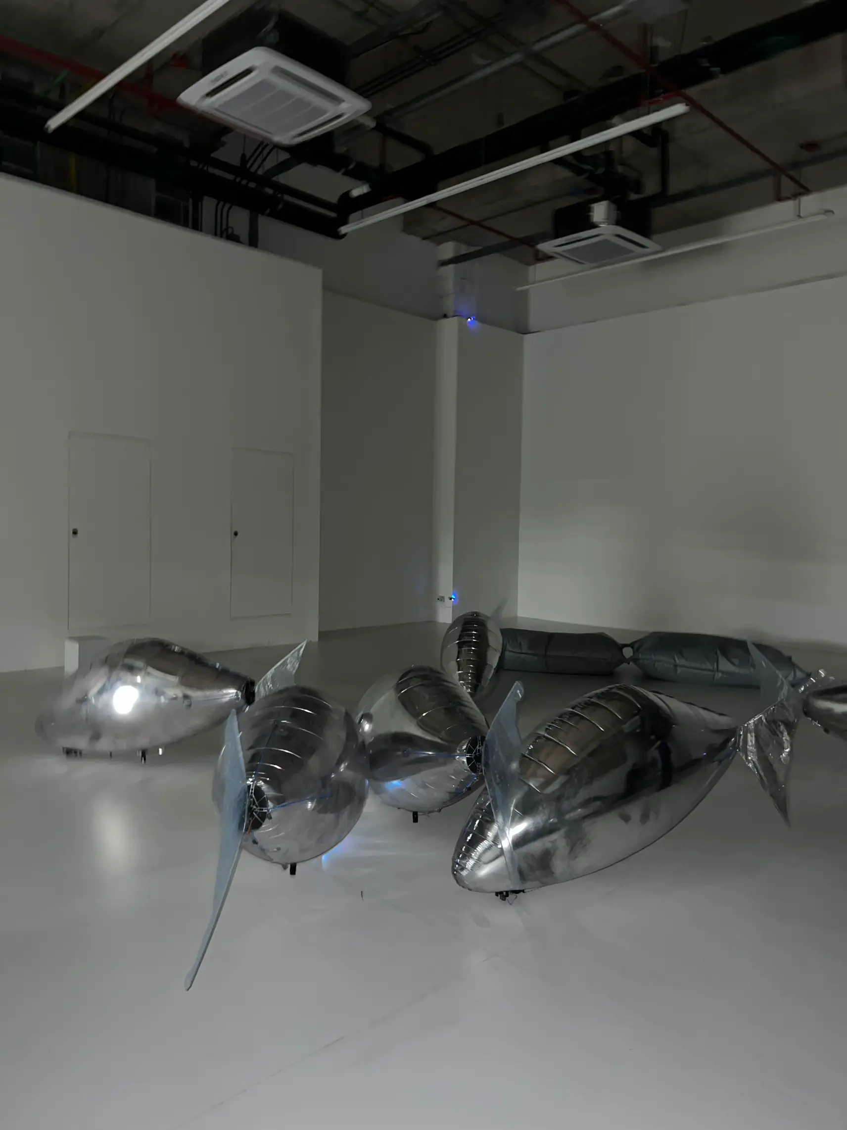 TODAY STORY:展示会のフロックにドレスアップ | Mathuが投稿したフォトブック | Lemon8