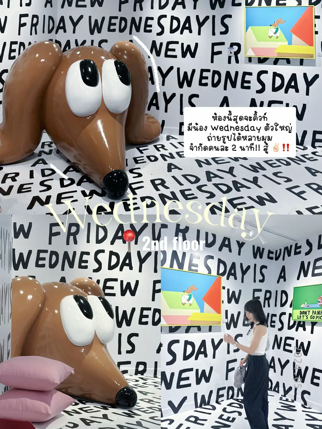 Yesterday Wednesday Tomorrow พาไปรู้จักน้องหมาคิดเยอะ 🐶 | แกลเลอรีที่ ...