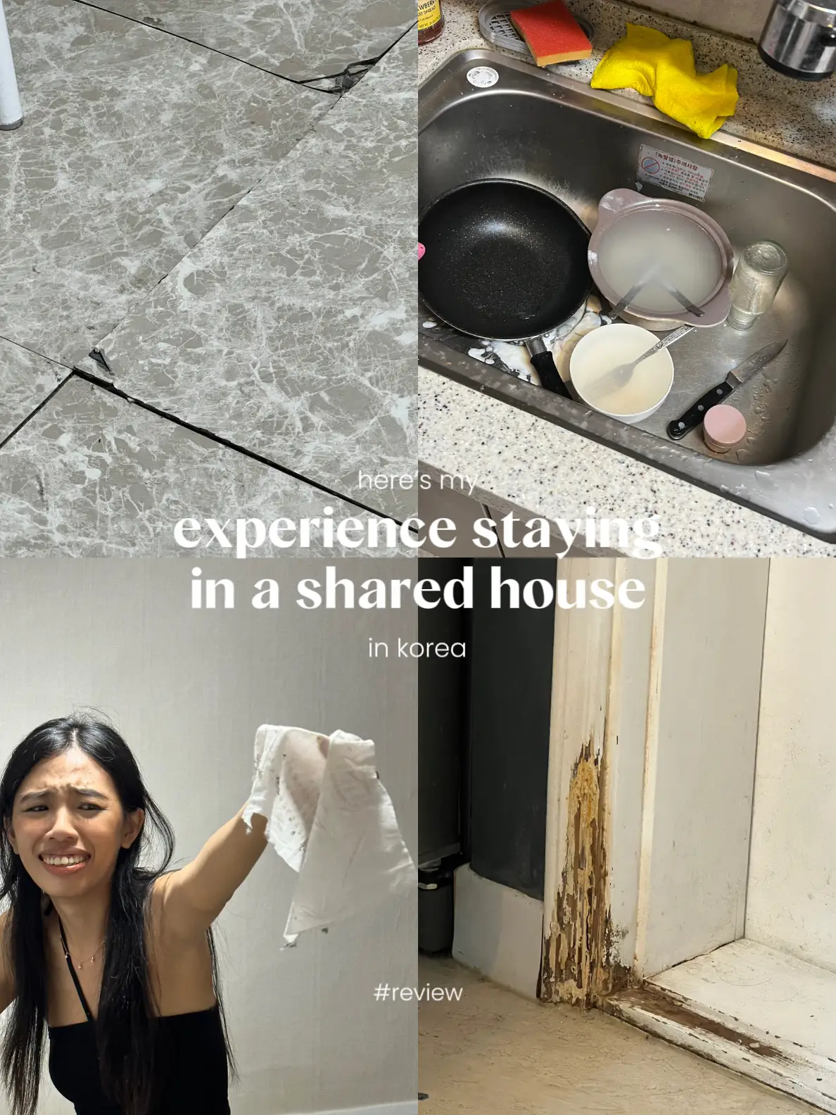 DO NOT STAY HERE IN KOREA: WORST EXPERIENCE EVER🥲🇰🇷 | Gallery posted by pet | Lemon8