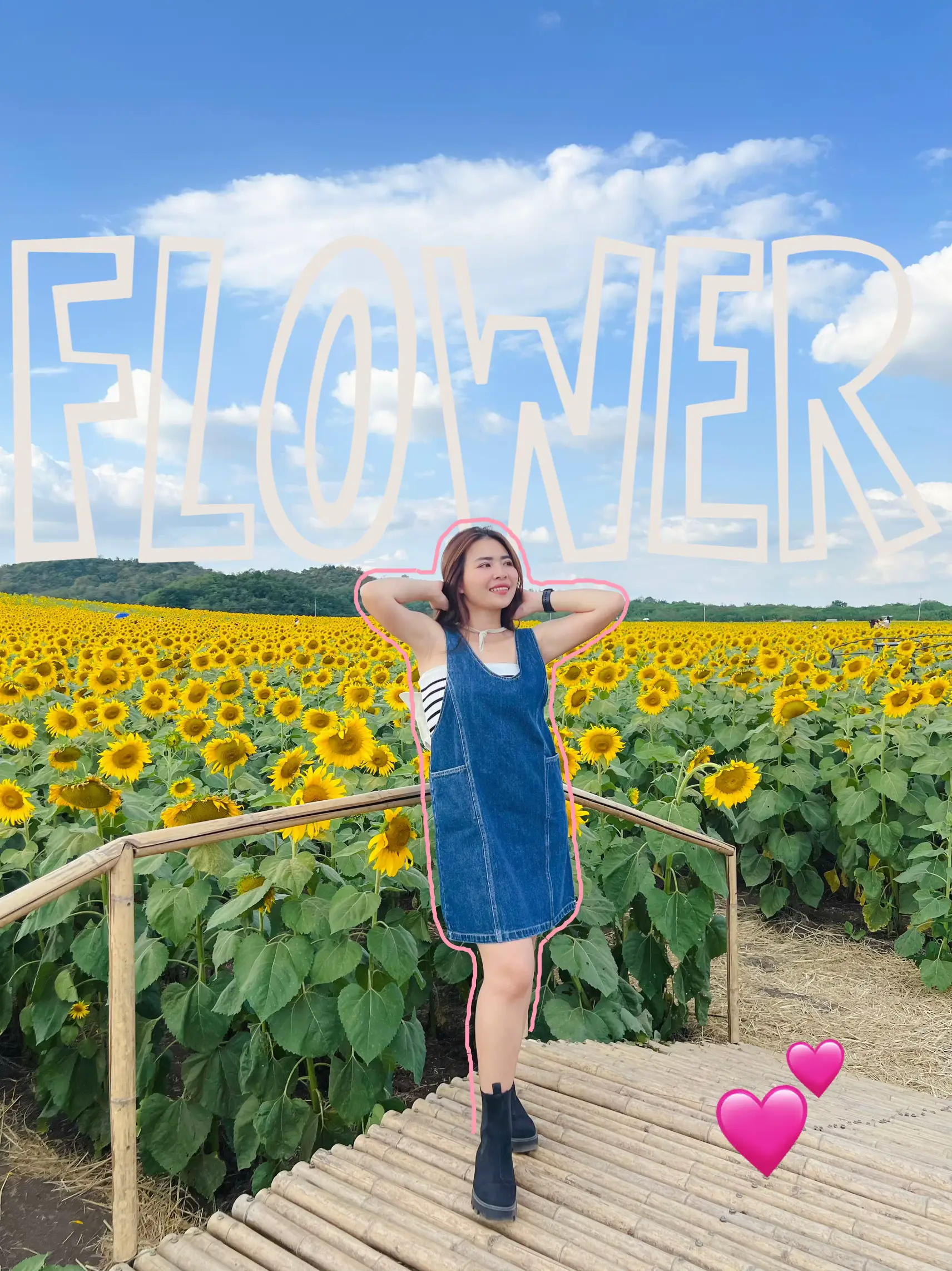 SUNFLOWER | แกลเลอรีที่โพสต์โดย 🦄 FAII :) | Lemon8