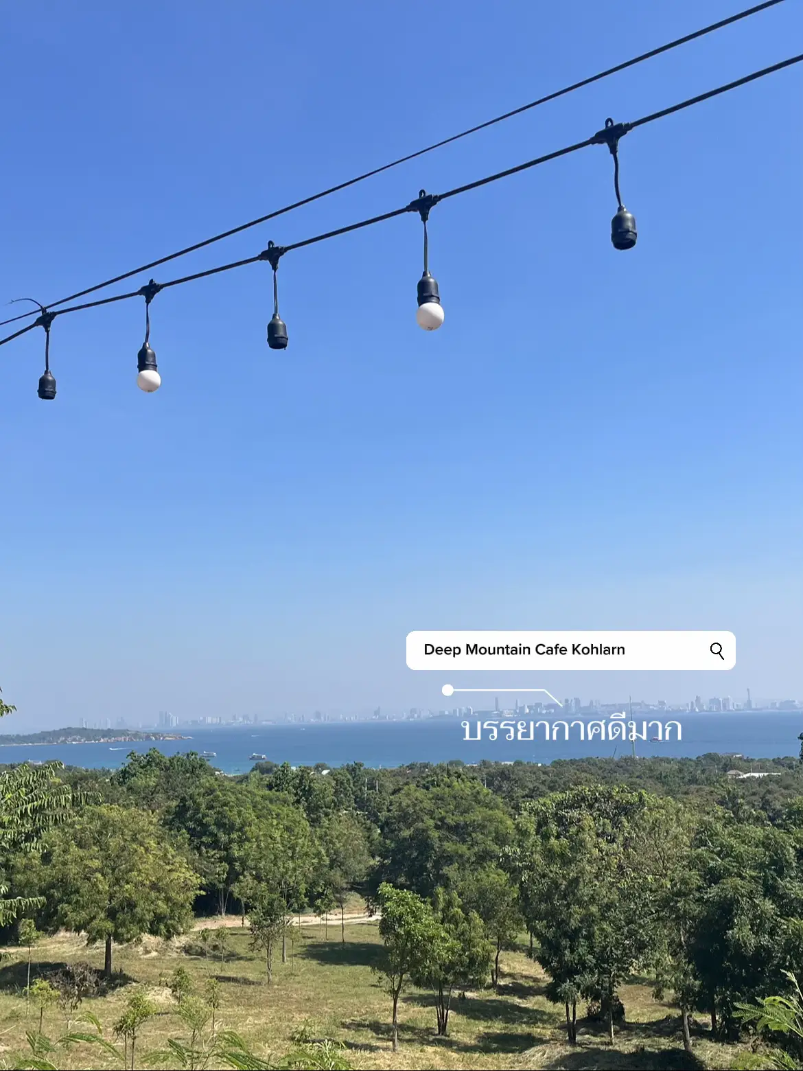 คาเฟ่ ไม่ลับ เหมือนยกเขาใหญ่มาไว้เกาะล้าน | แกลเลอรีที่โพสต์โดย Icetrip Diary | Lemon8