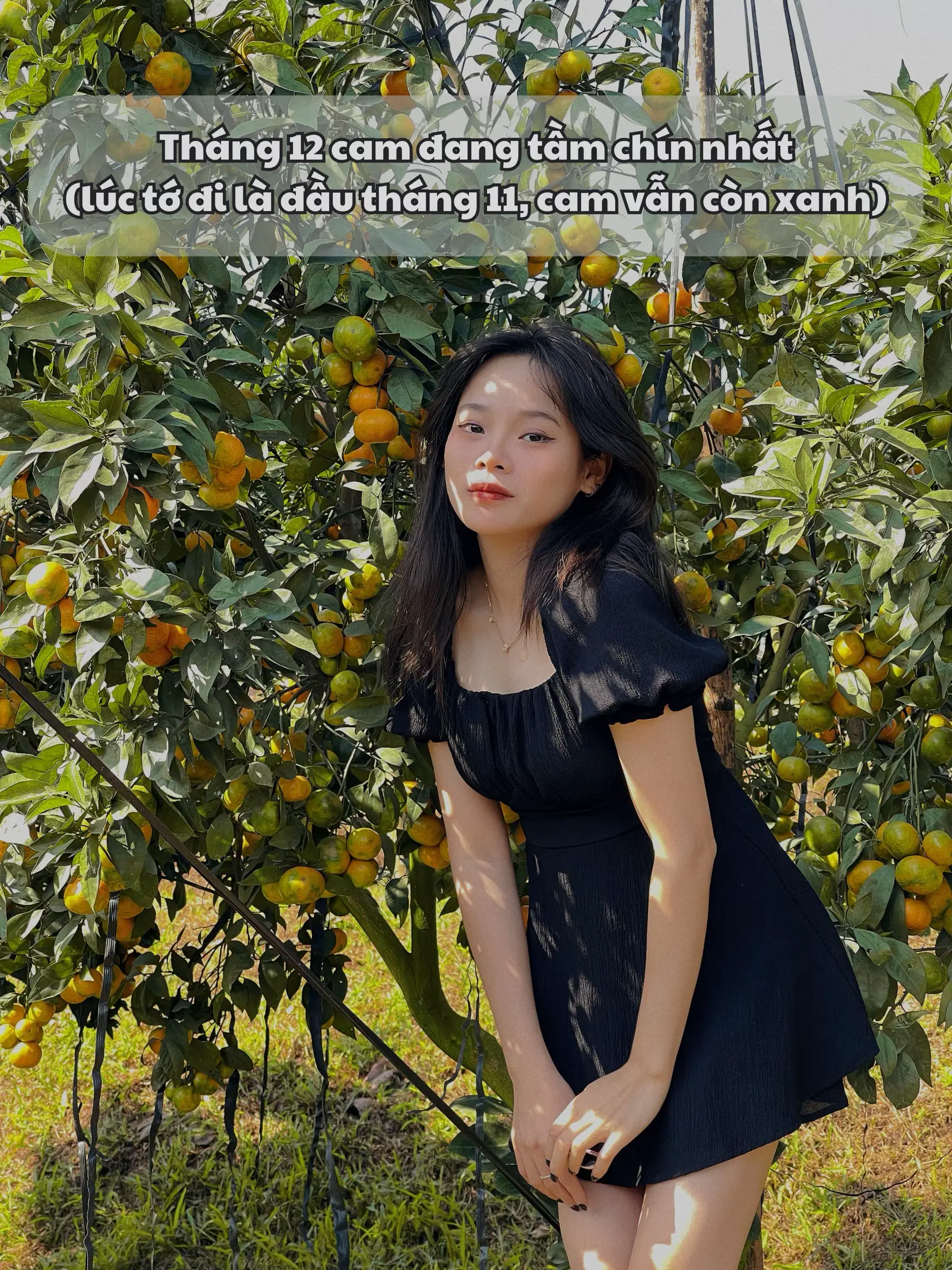 REVIEW KHU SINH THÁI HỒ BẦU TIÊN MỚI Ở BẮC GIANG | Bộ sưu tập do duongduongblog đăng | Lemon8