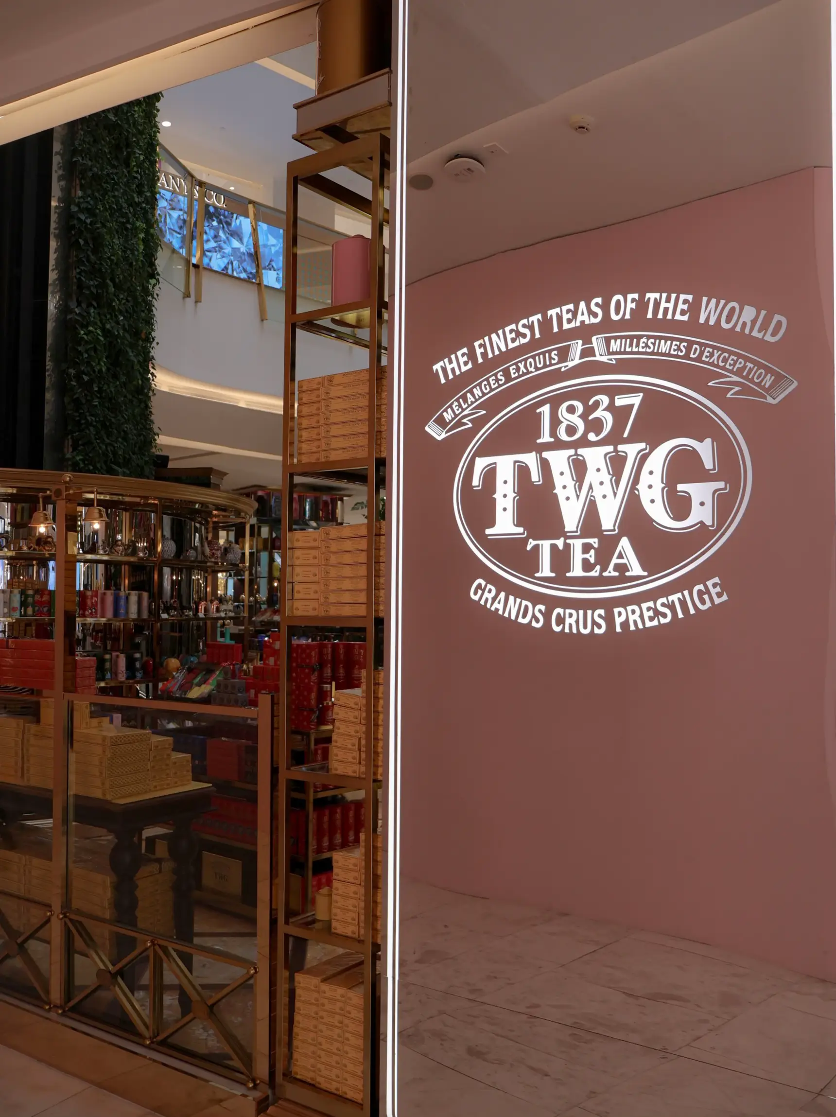 Citi Prestige: Happy Birthday TWG Afternoon Tea ฉล | แกลเลอรีที่โพสต์โดย With.phichit | Lemon8