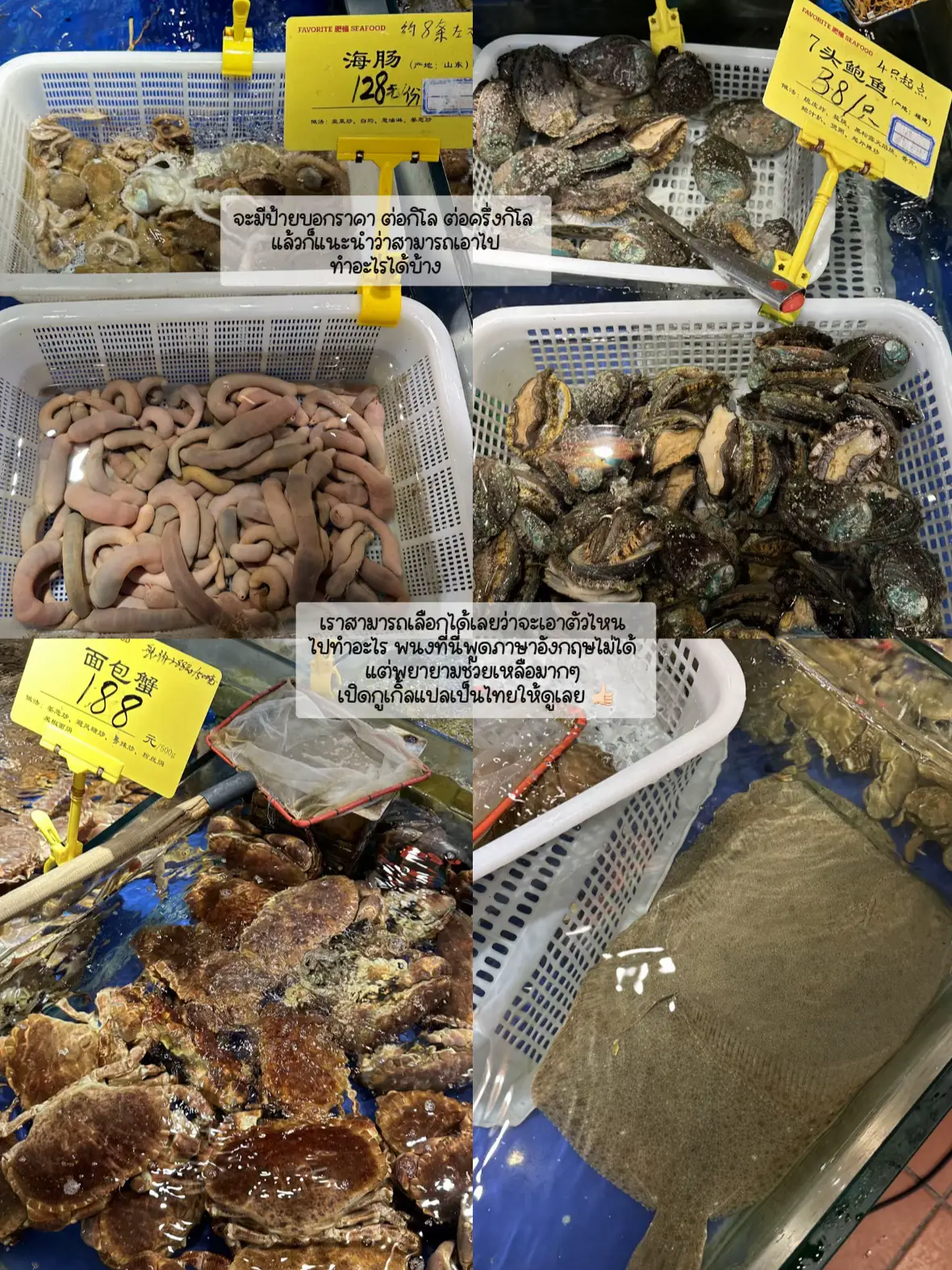 肥福 Fei Fu 🇨🇳ร้านอาหาร SEAFOOD ในปักกิ่ง!🐟🦀🍵 | แกลเลอรีที่โพสต์โดย ...