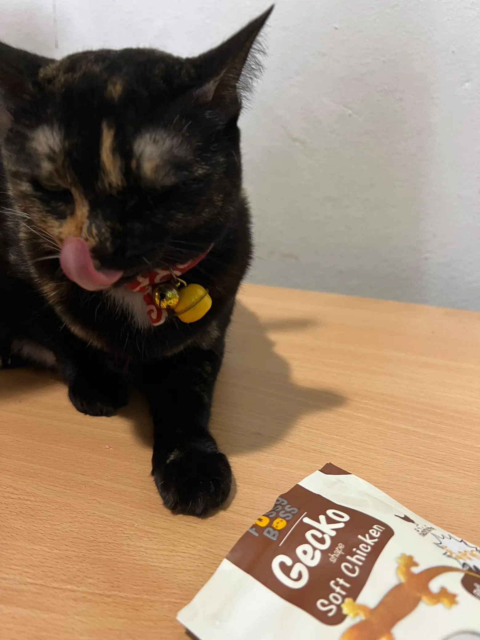 จิ้งจก!!!! ที่น้องแมวเลิฟ 🥰 | แกลเลอรีที่โพสต์โดย SANDEE LIKEACAT | Lemon8