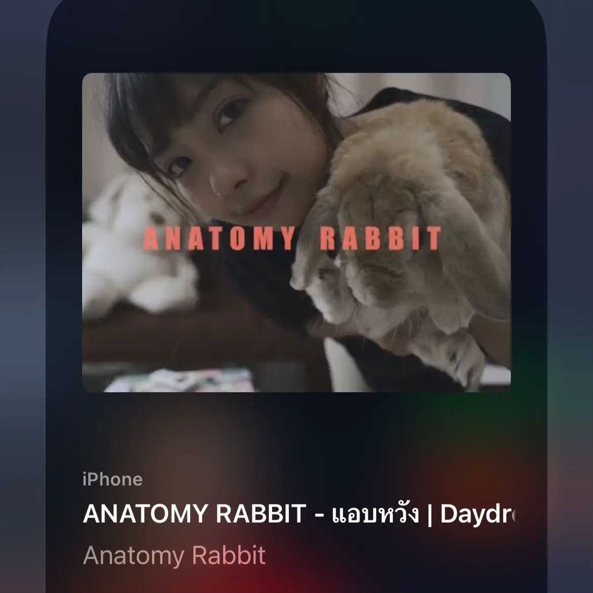 มาแบ่งปันเพลงของANATOMY RABBIT 🙌🏽🧚🏾‍♀️ | แกลเลอรีที่โพสต์โดย ᐟ.ᐟᴍᴄᴛᴅ | Lemon8