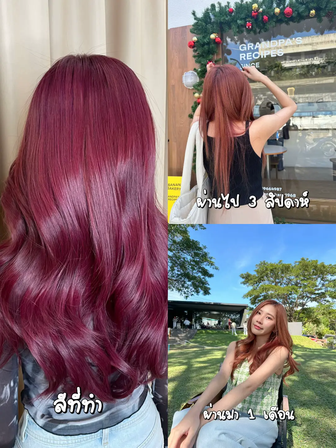 เติมสีผมแบบไม่ต้องย้อม แถมผมสุขภาพดีขึ้นด้วย | แกลเลอรีที่โพสต์โดย Giada Pairin | Lemon8