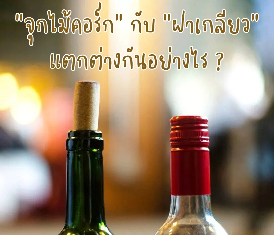 "จุกไม้คอร์ก" กับ "ฝาเกลียว" ท | แกลเลอรีที่โพสต์โดย Infinite Wine | Lemon8