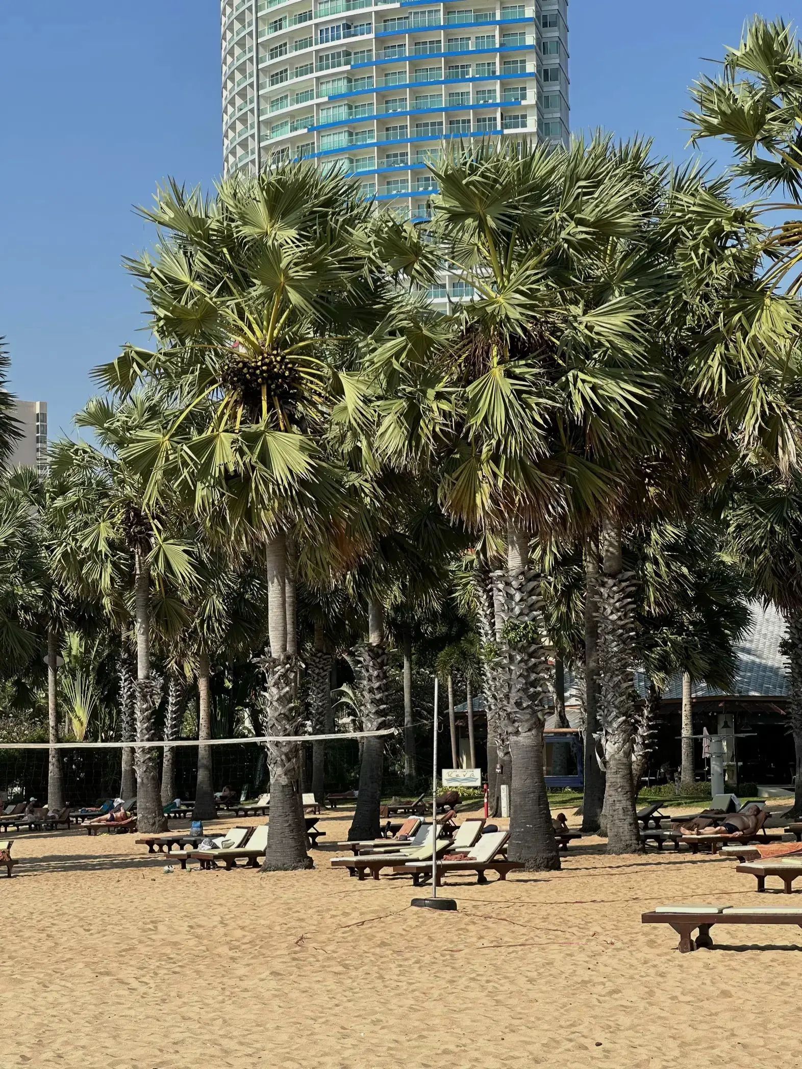 Good old sea beach คาเฟ่ติดริมหาดพัทยา🏝️🍉🌺.* | แกลเลอรีที่โพสต์โดย nut🌺 ...