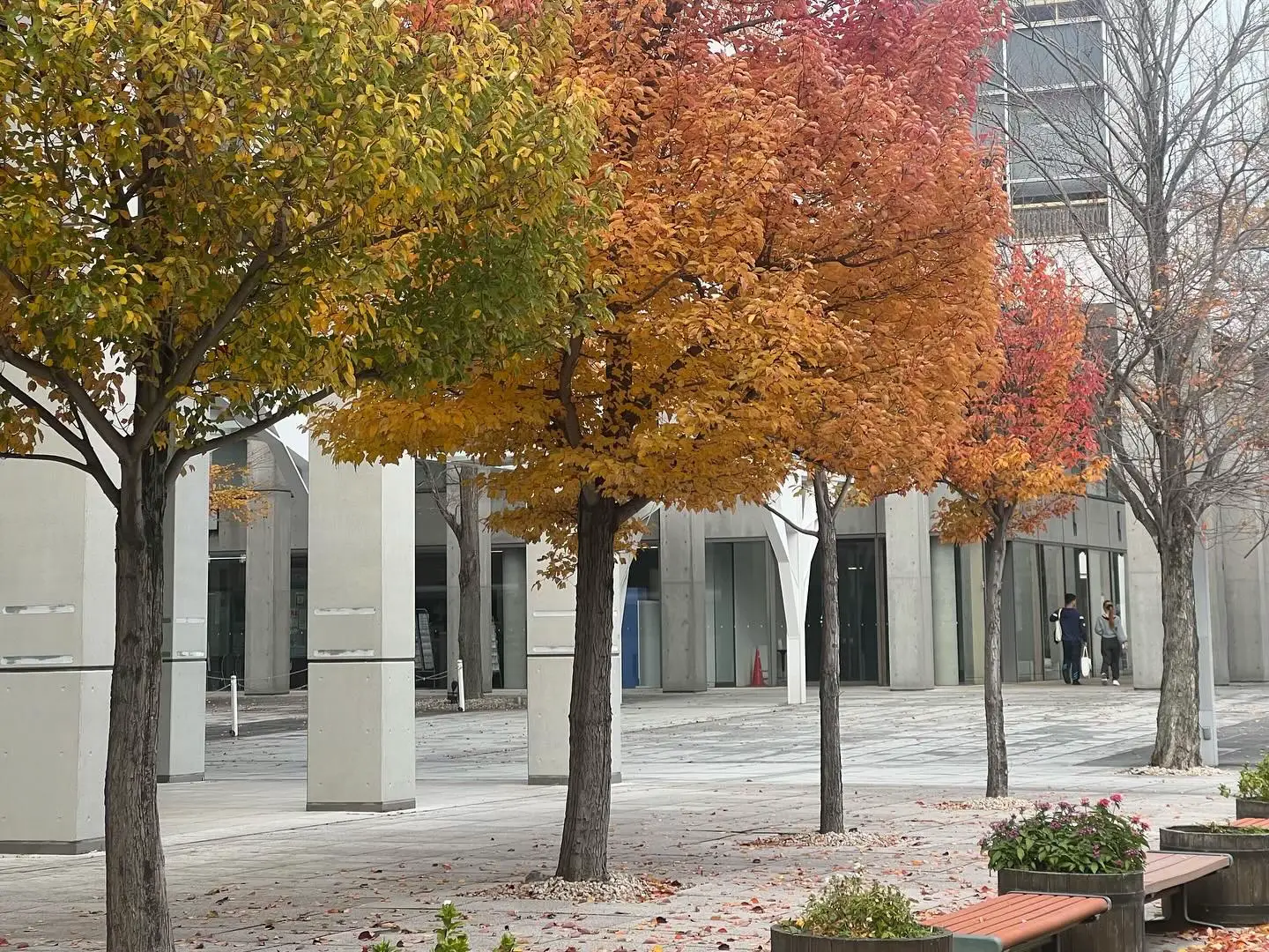 Cool place 1 hour away from Tokyo 🚉🚍 | แกลเลอรีที่โพสต์โดย Moo | Lemon8