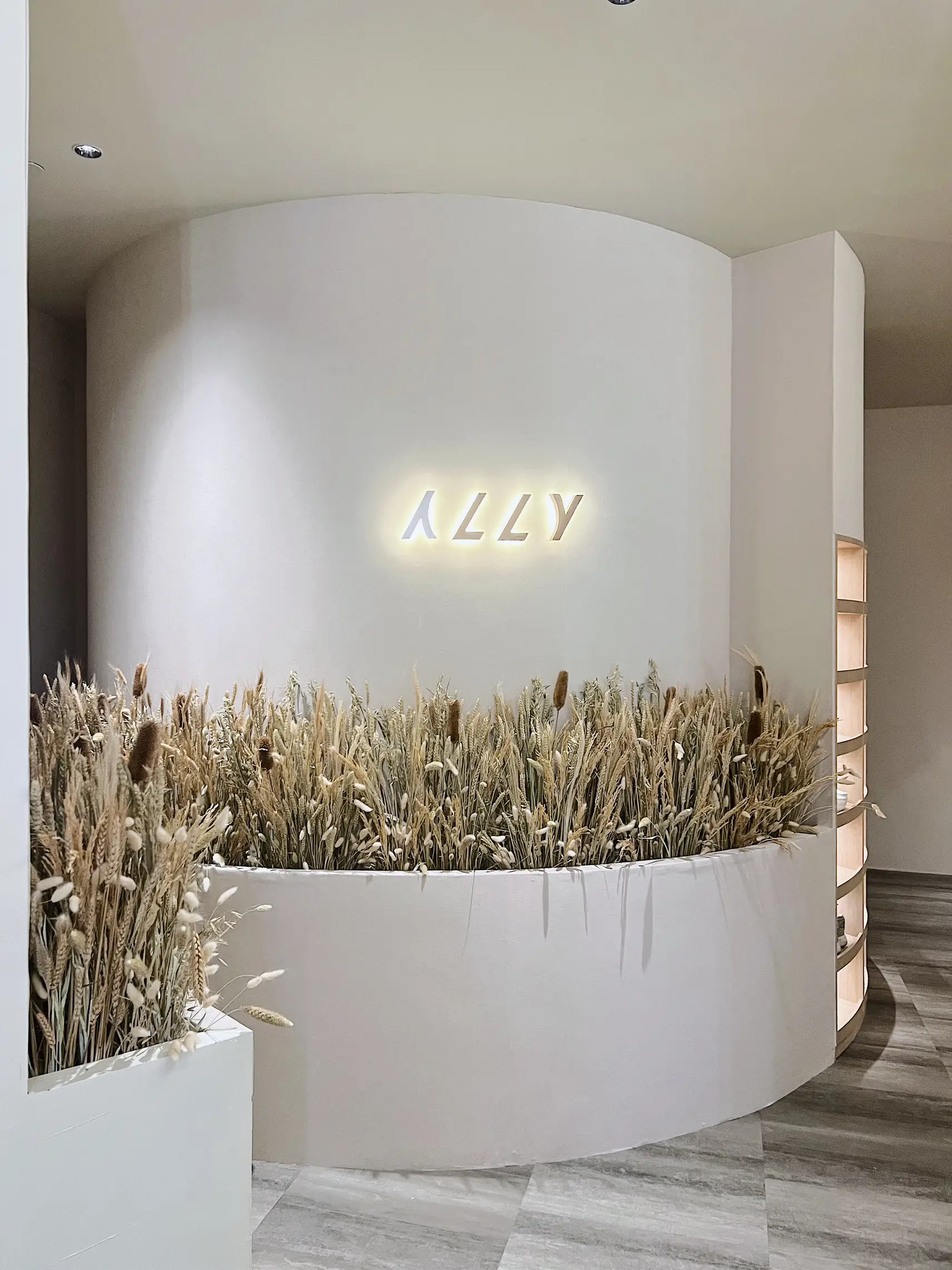 🤸🏻‍♀️🎀 Reformer Pilates @ Ally | Gallery posted by rewindandreplay | Lemon8