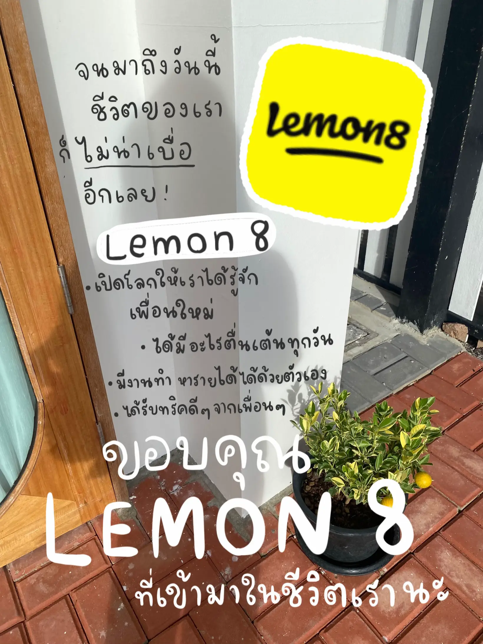 เข้าสู่ระบบlemon - การค้นหาใน Lemon8