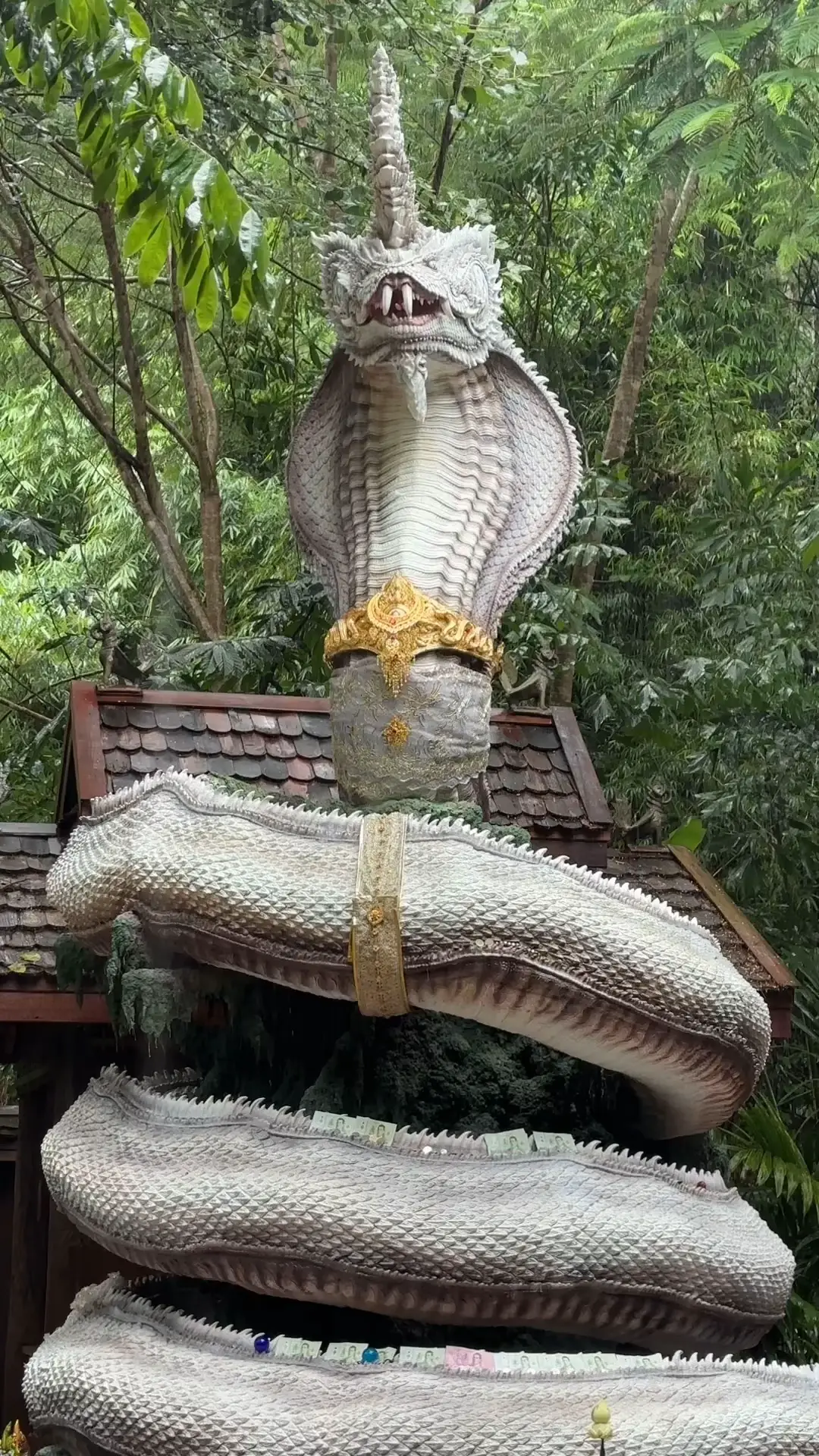 พญาภุชงค์นาคราช วัดม่อนกุเวร เชียงใหม่ | วิดีโอที่เผยแพร่โดย Wi sa | Lemon8