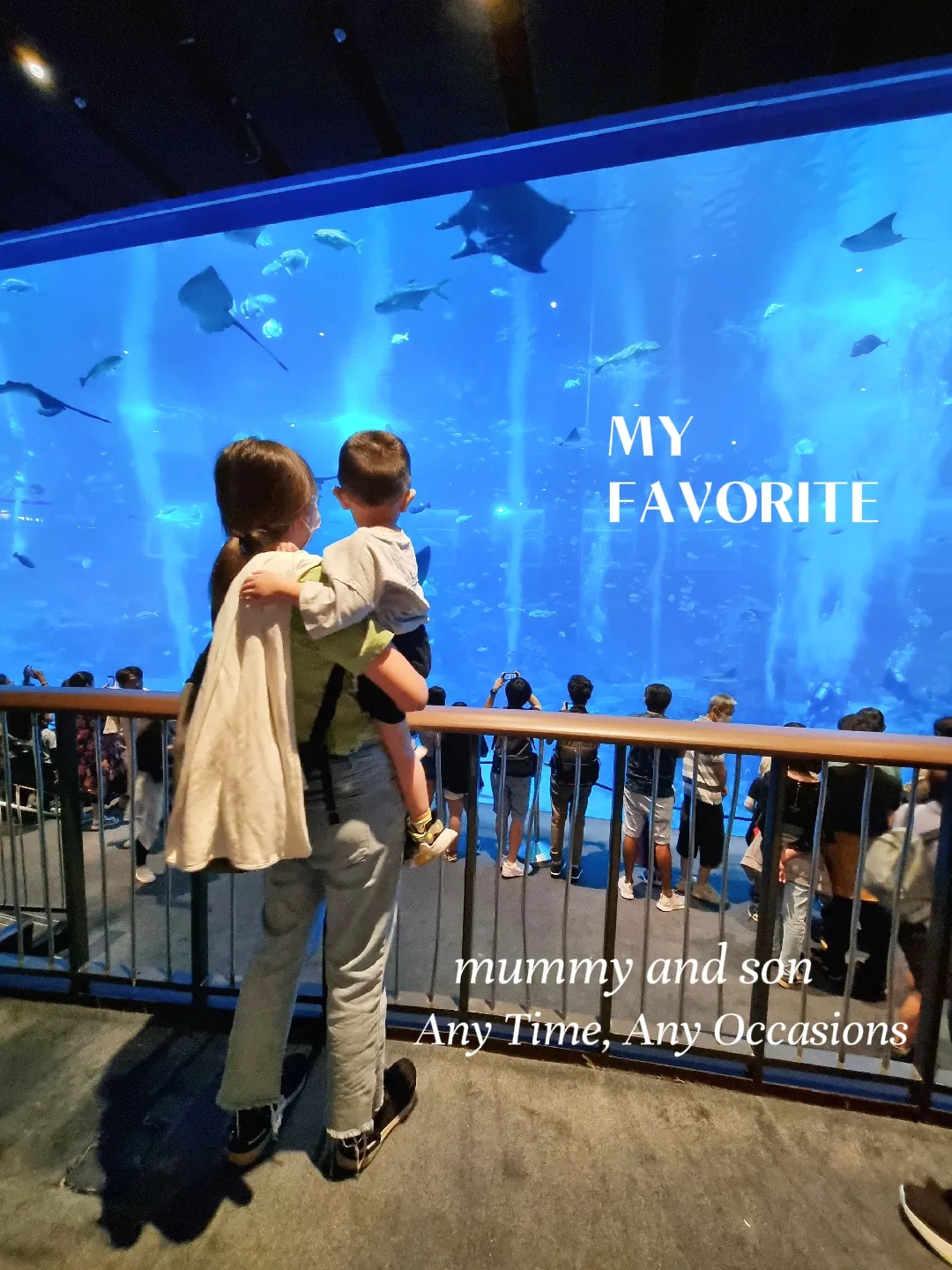 S.E.A. Aquarium | Galeri disiarkan oleh Daddy Cay | Lemon8