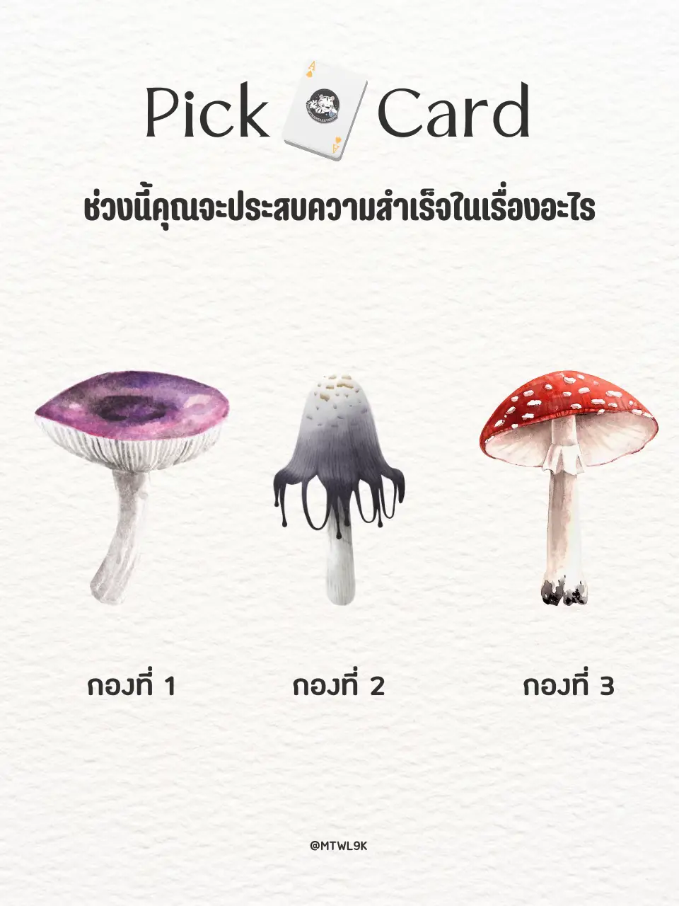 🔮🐯Pick A Card🐯🔮 “ช่วงนี้คุณจะประสบความสำเร็จในเรื่องอะไร” | แกลเลอรีที่ ...