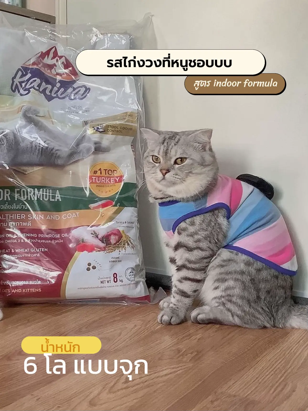 ด้วย KANIVA | แกลเลอรีที่โพสต์โดย หนูชื่อลูกชิ้น | Lemon8