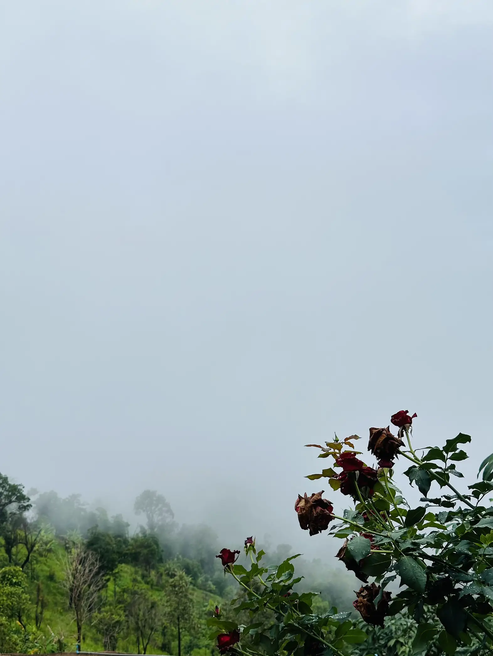 รีวิวที่พักหลักร้อย วิวหลักล้านเชียงใหม่2024 | แกลเลอรีที่โพสต์โดย ...