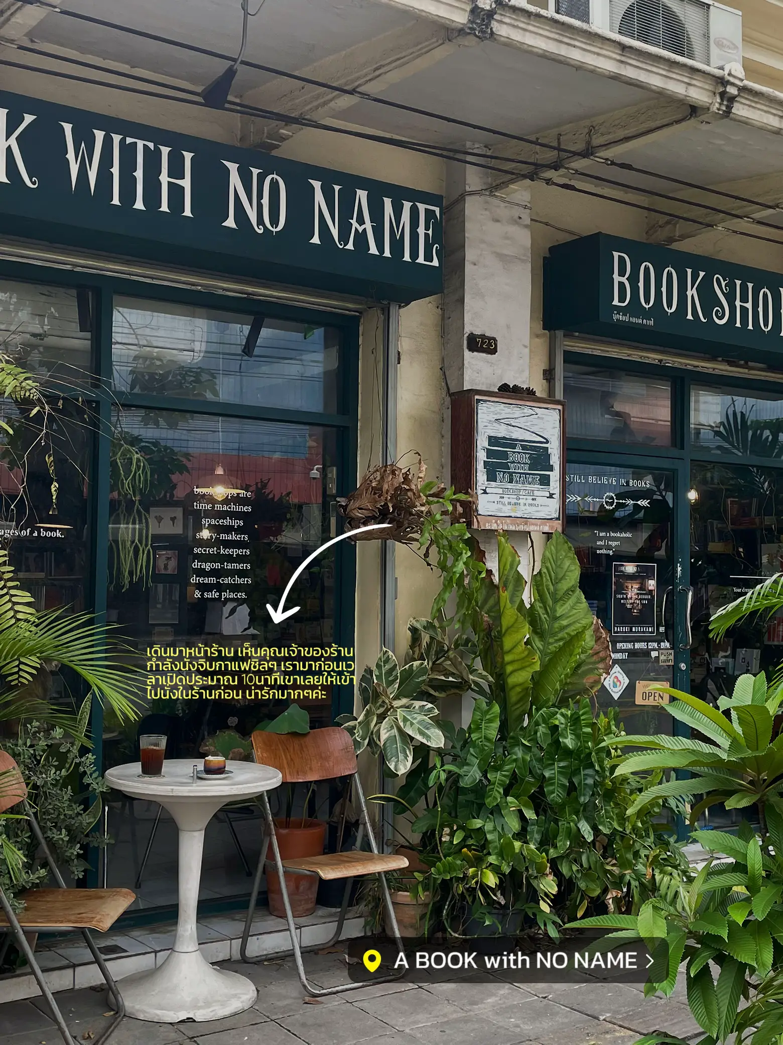 A BOOK with NO NAME - หนังสือ แมว และกาแฟ | แกลเลอรีที่โพสต์โดย Julie 🪴 ...