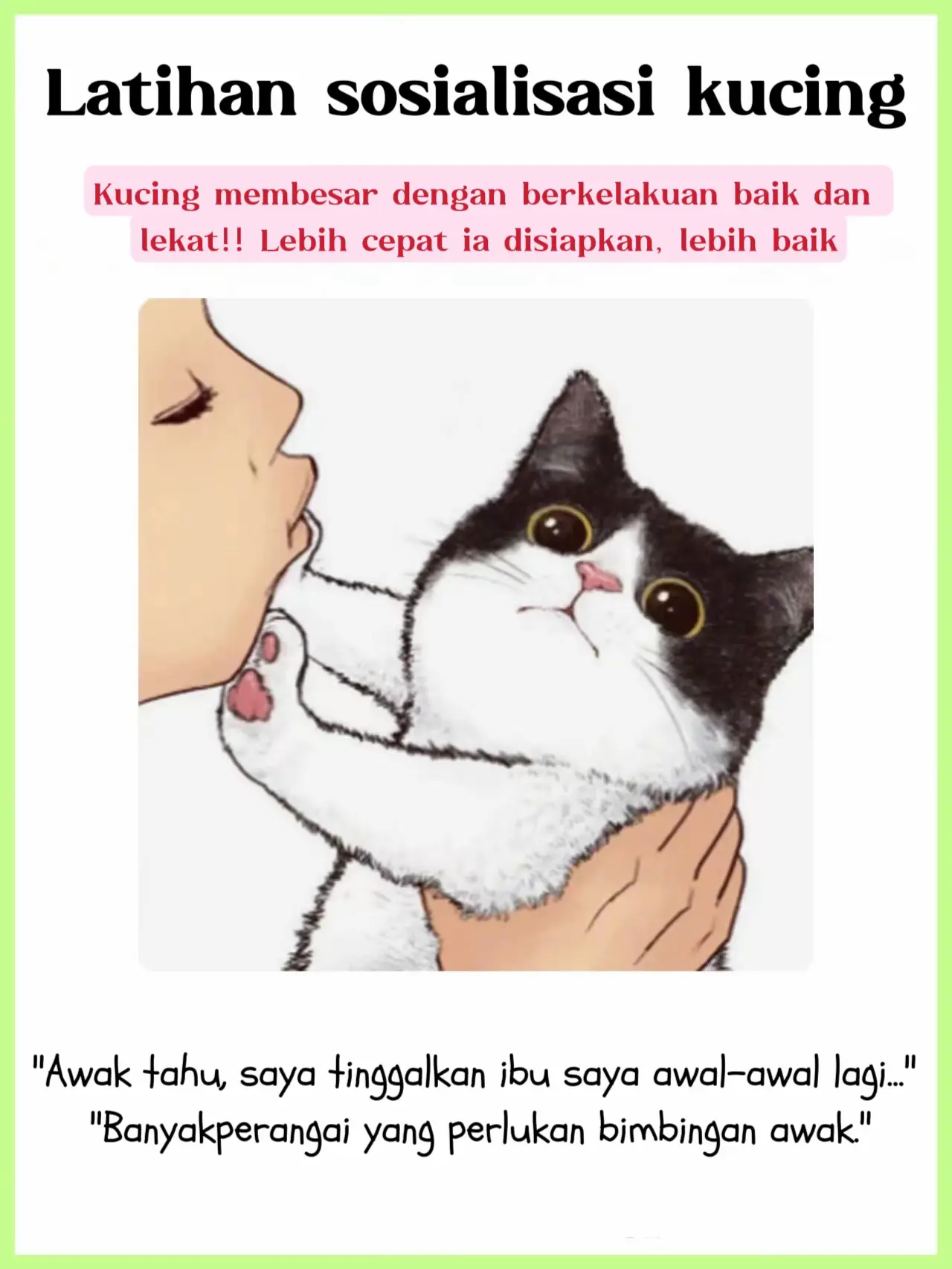 Kamu tahu cara melatih kucing tak? 🤯 | Galeri disiarkan oleh Meow Meow ...