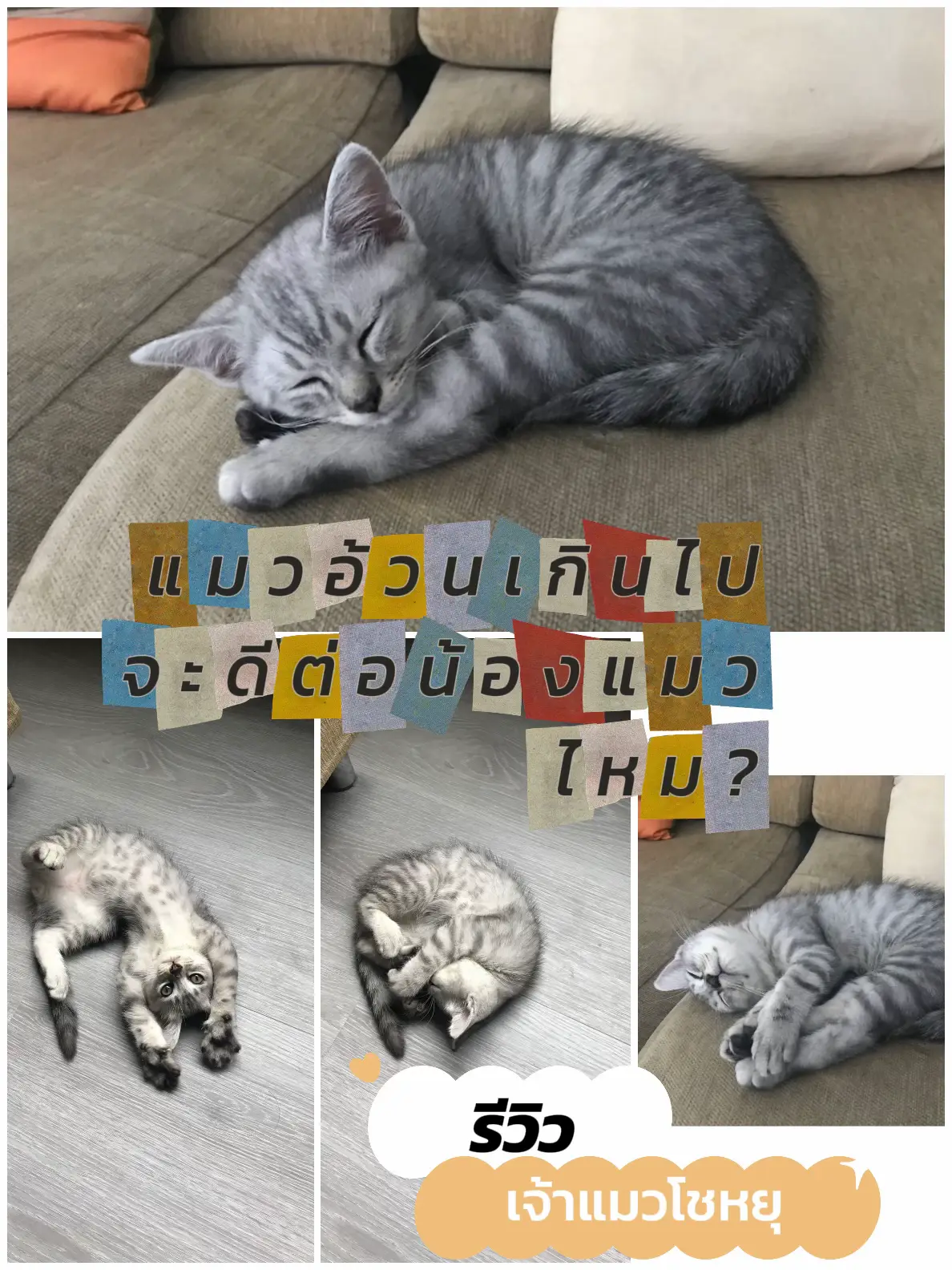 เด็กตัวนั้นโตมากลายเป็นเธอ | แกลเลอรีที่โพสต์โดย Fah_phit | Lemon8