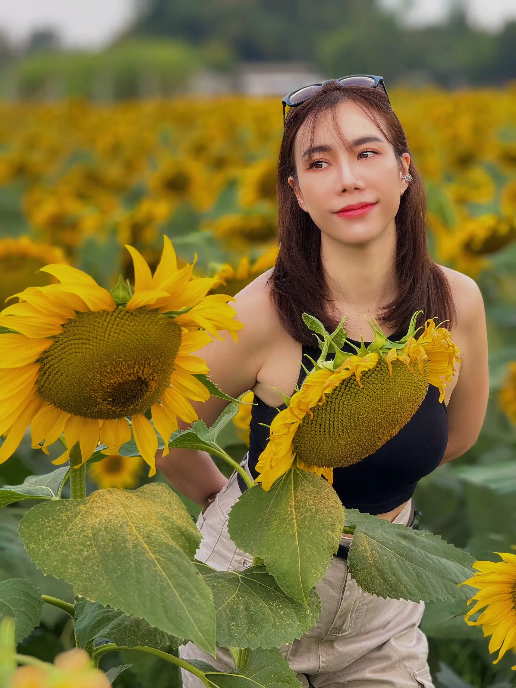 🌻แชร์ทริคถ่ายกับทุ่งทานตะวันสุดฮิต🌻 | แกลเลอรีที่โพสต์โดย Chali.26 | Lemon8