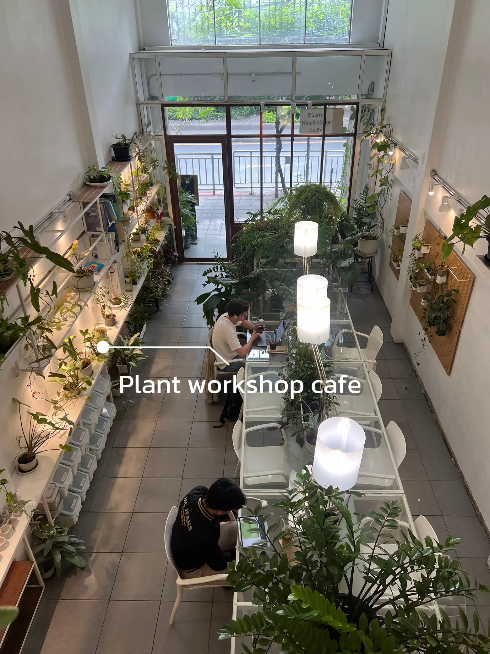 คาเฟ่นั่งทำงานบรรยากาศสุดธรรมชาติ🌱 | แกลเลอรีที่โพสต์โดย บีบี🎀🫧 | Lemon8