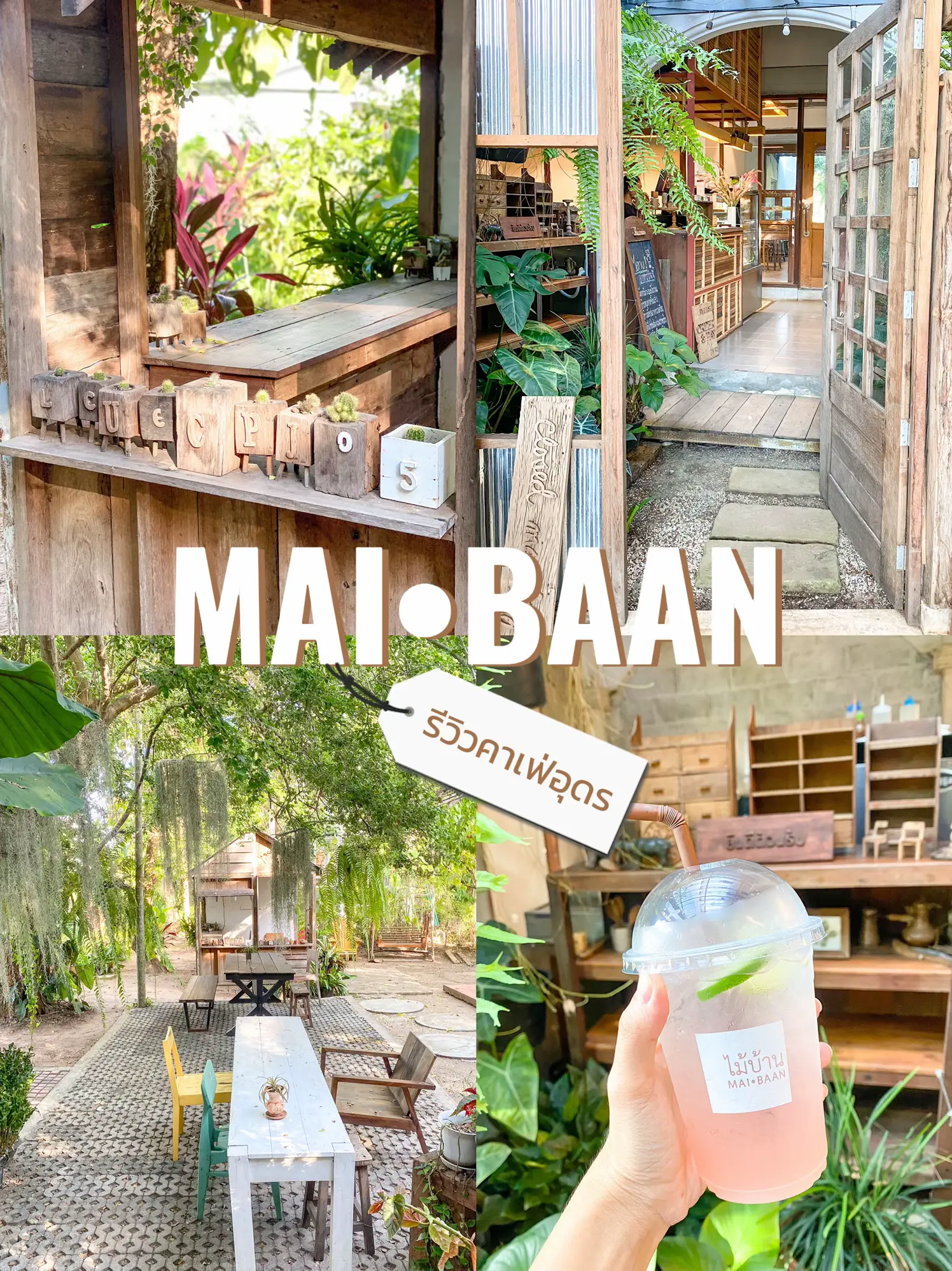รีวิวคาเฟ่อุดร : MAI•BAAN ไม้บ้าน | แกลเลอรีที่โพสต์โดย อิหมีหนีเที่ยว🧸 ...