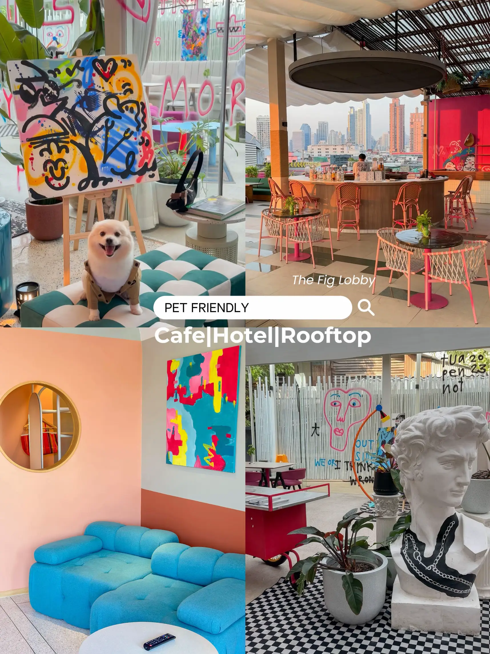 Cafe|Hotel|Rooftop Pet friendly | แกลเลอรีที่โพสต์โดย pannigapin | Lemon8