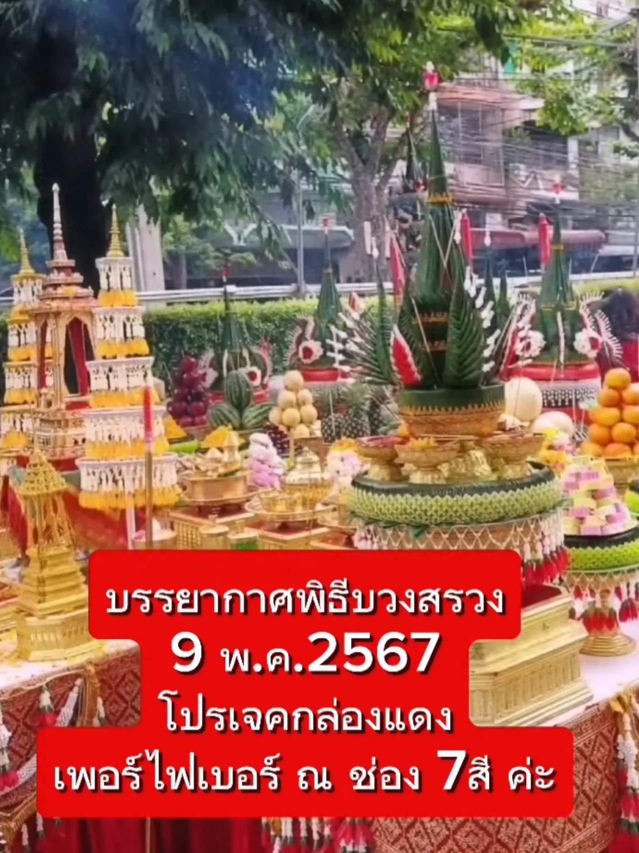 ไฟเบอร์ปนันชิตา | วิดีโอที่เผยแพร่โดย Bim-Natthakan | Lemon8