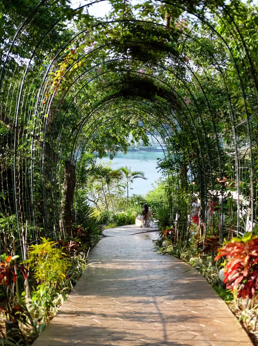 SUMMORE DAY | แกลเลอรีที่โพสต์โดย Jack Junsuwan | Lemon8